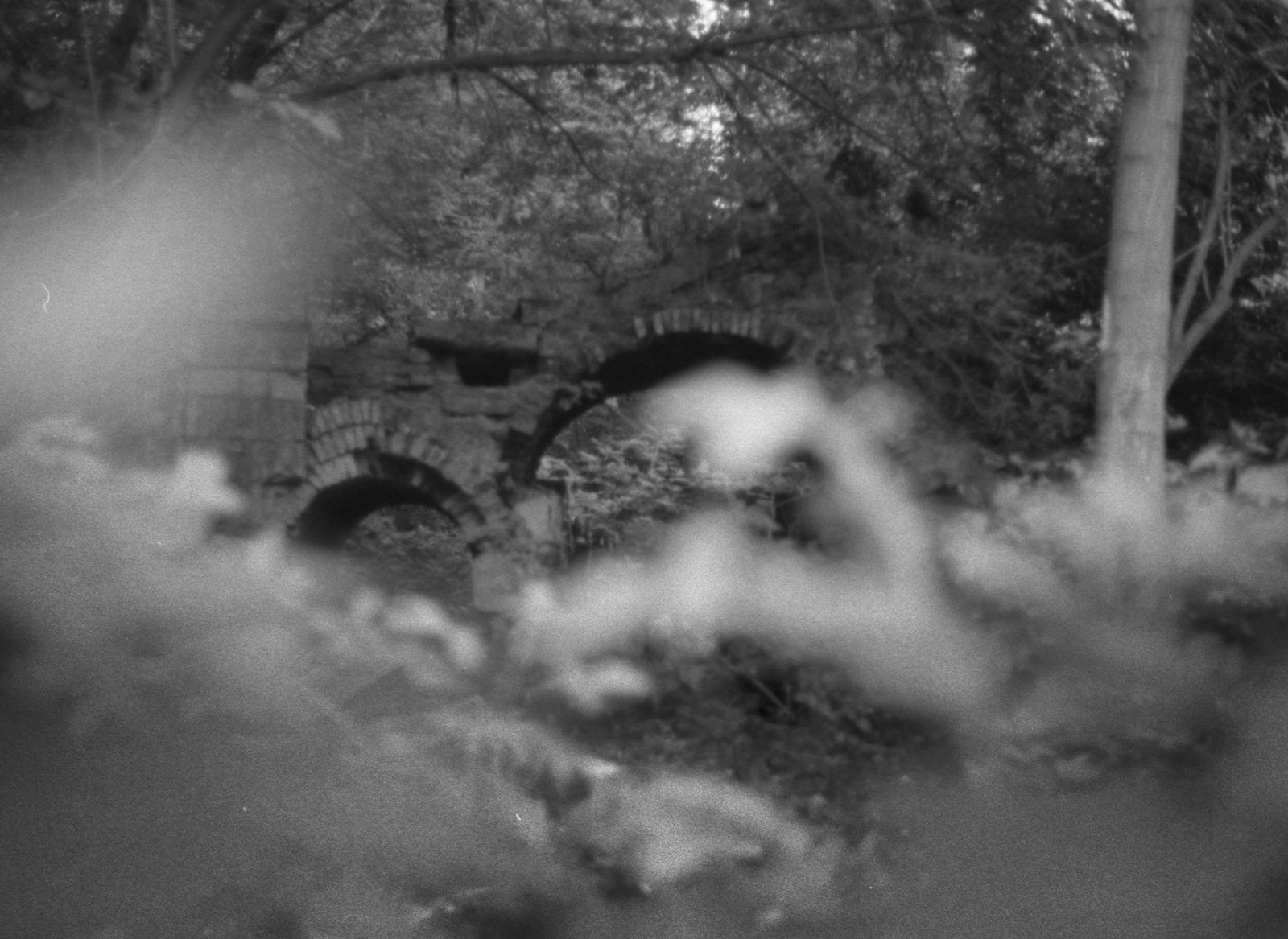 the Abandonment - PhMuseum