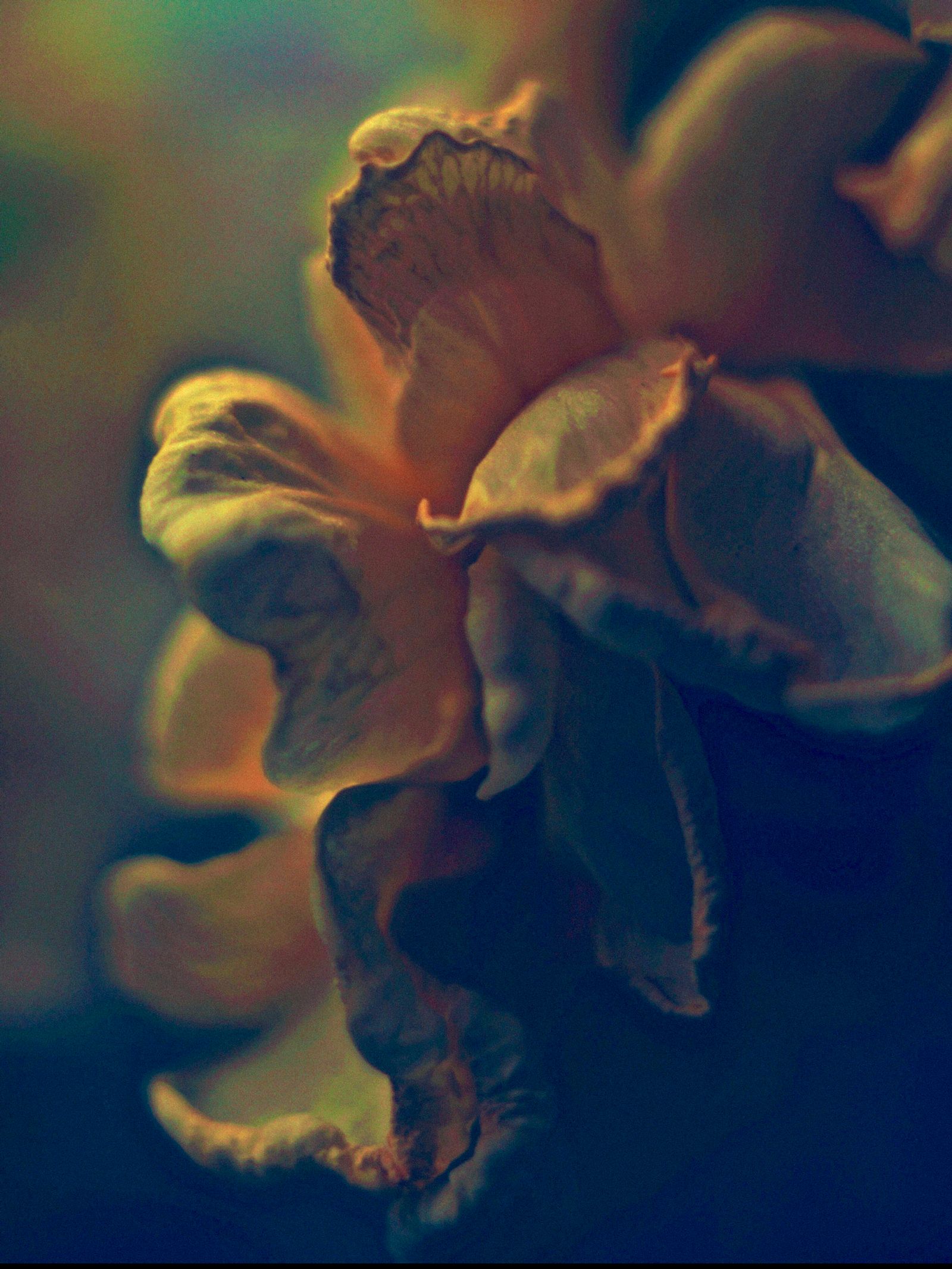 Color Therapy - PhMuseum