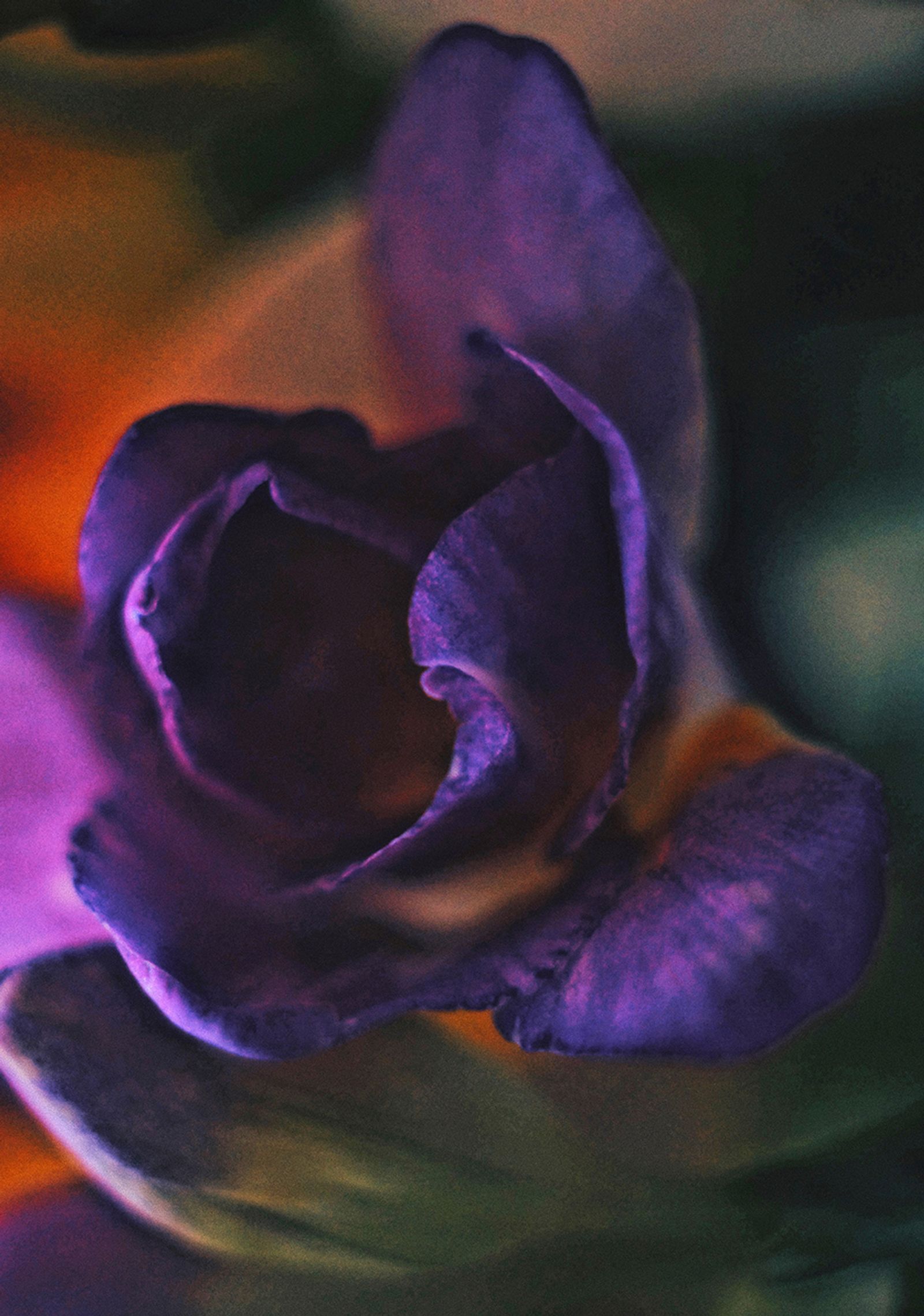 Color Therapy - PhMuseum