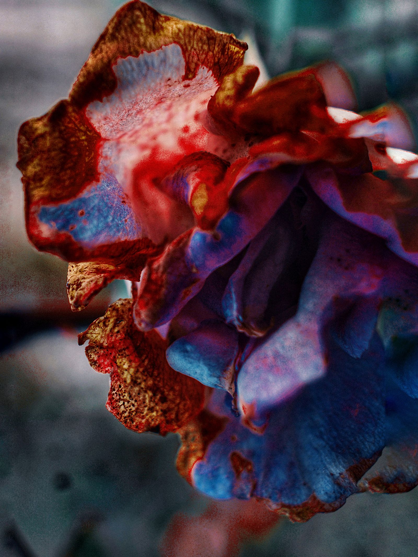 Color Therapy - PhMuseum