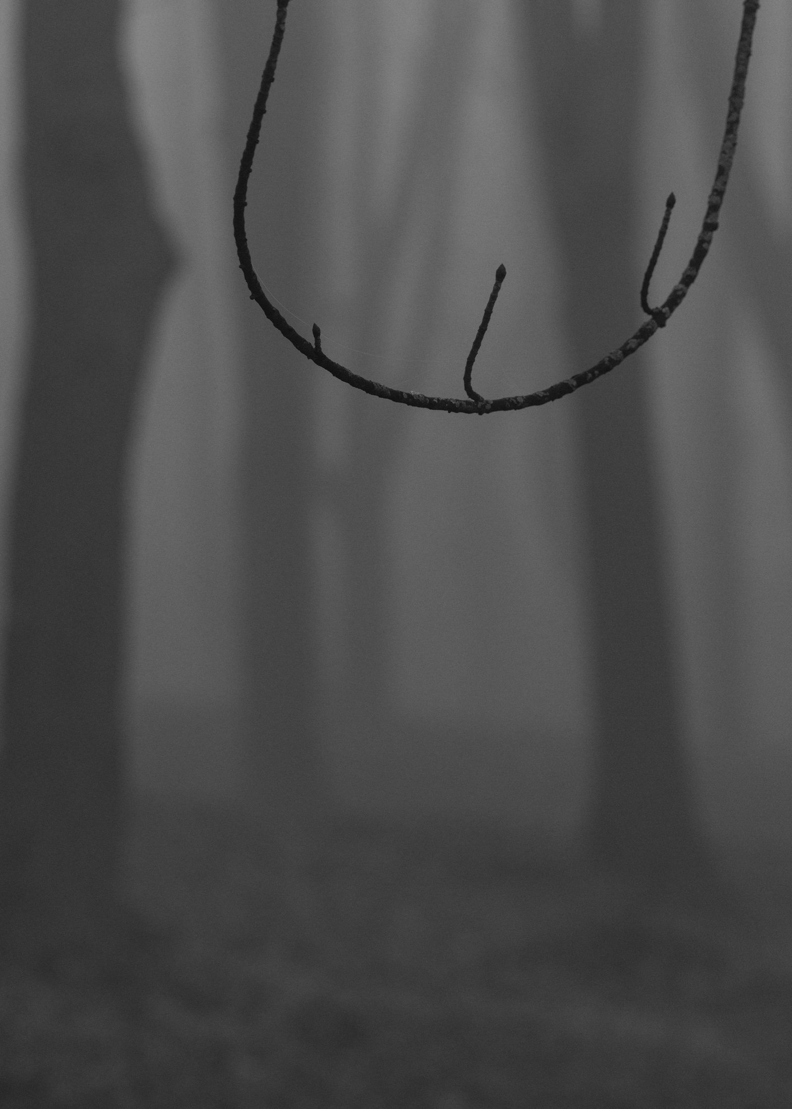 Through touch. - PhMuseum