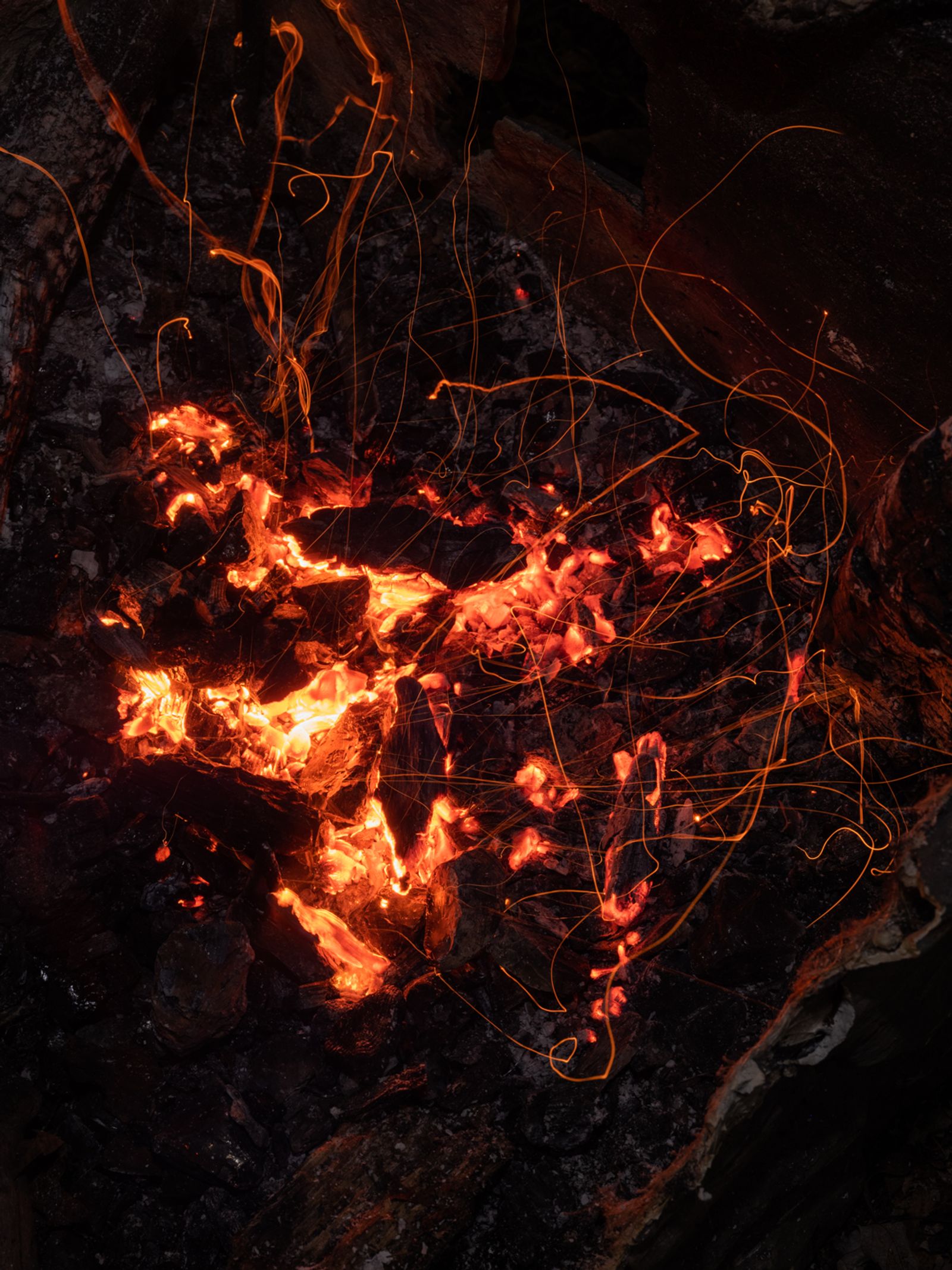 Taking Note In The Splendor - PhMuseum