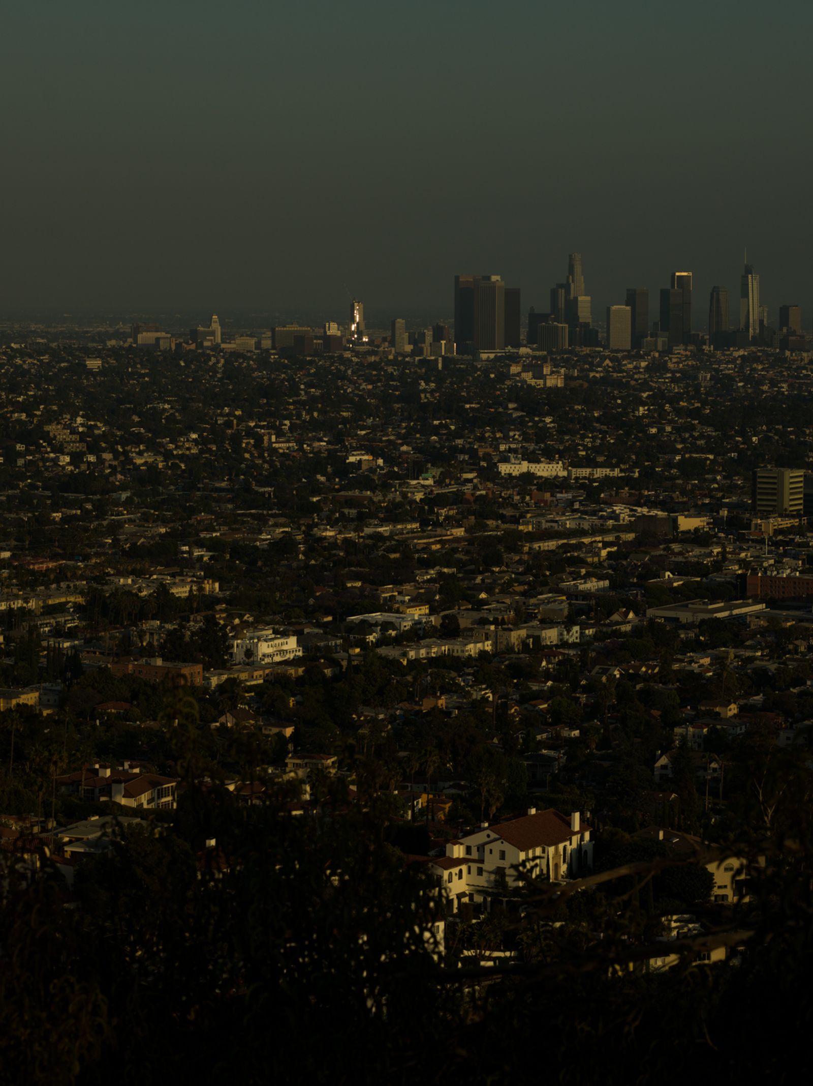 Taking Note In The Splendor - PhMuseum