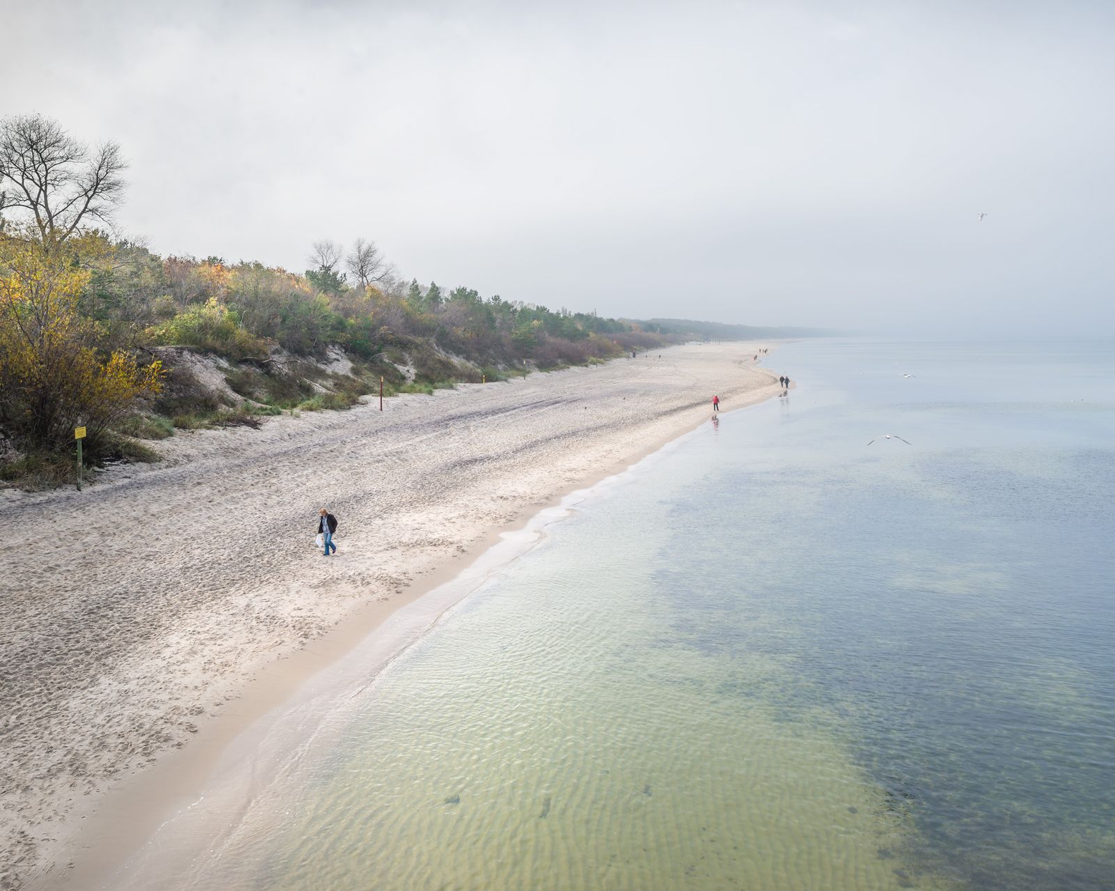 The Enchanted Landscape - PhMuseum