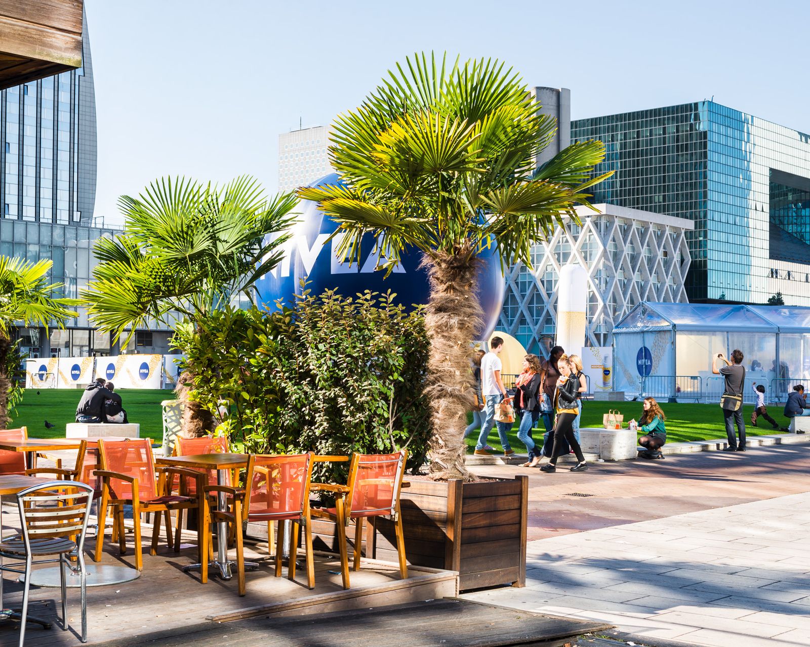 The Enchanted Landscape - PhMuseum