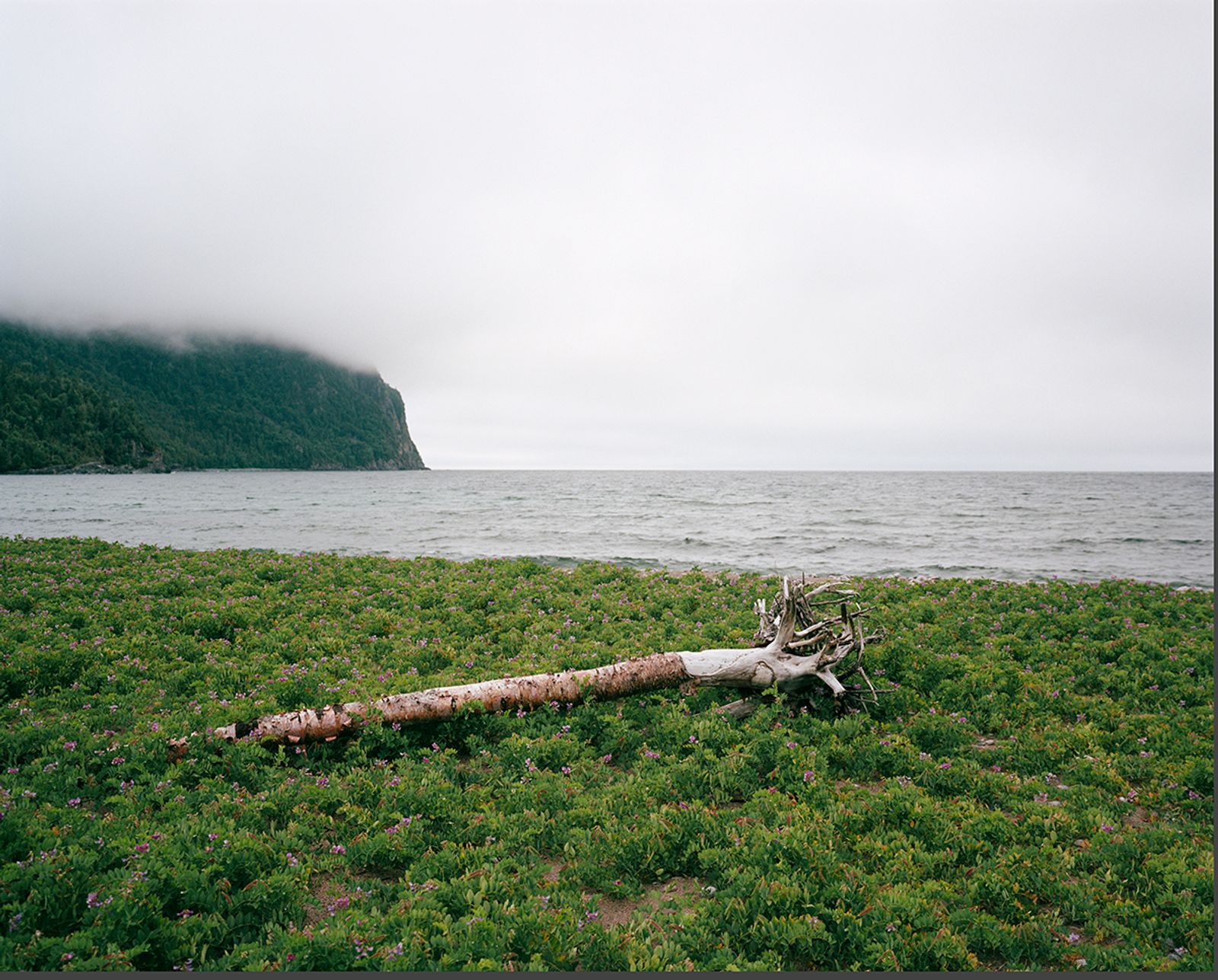 I, Voyageur...In Search of Frances Anne Hopkins - PhMuseum