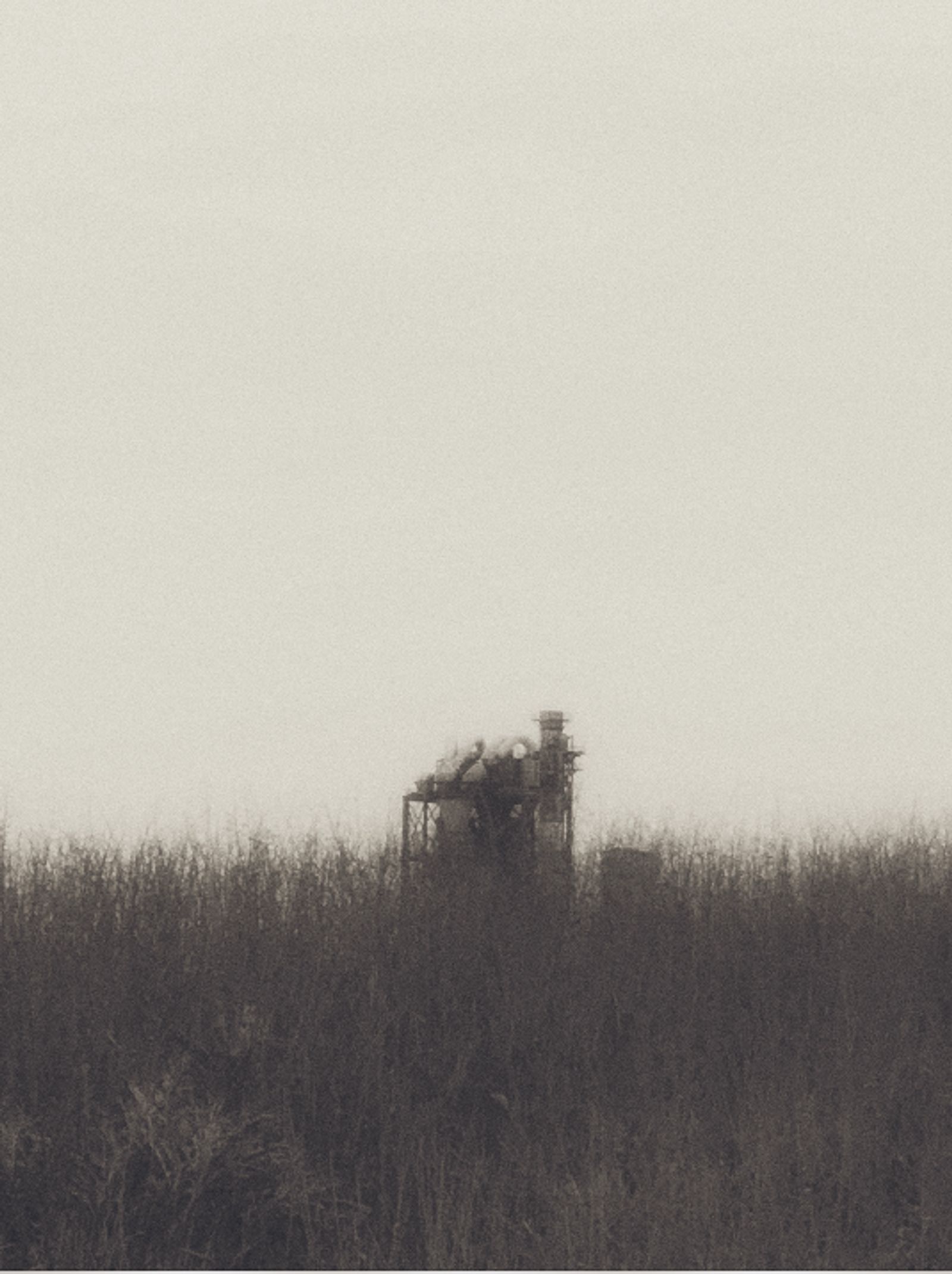 ILandscape 路邊打卡風景 - PhMuseum