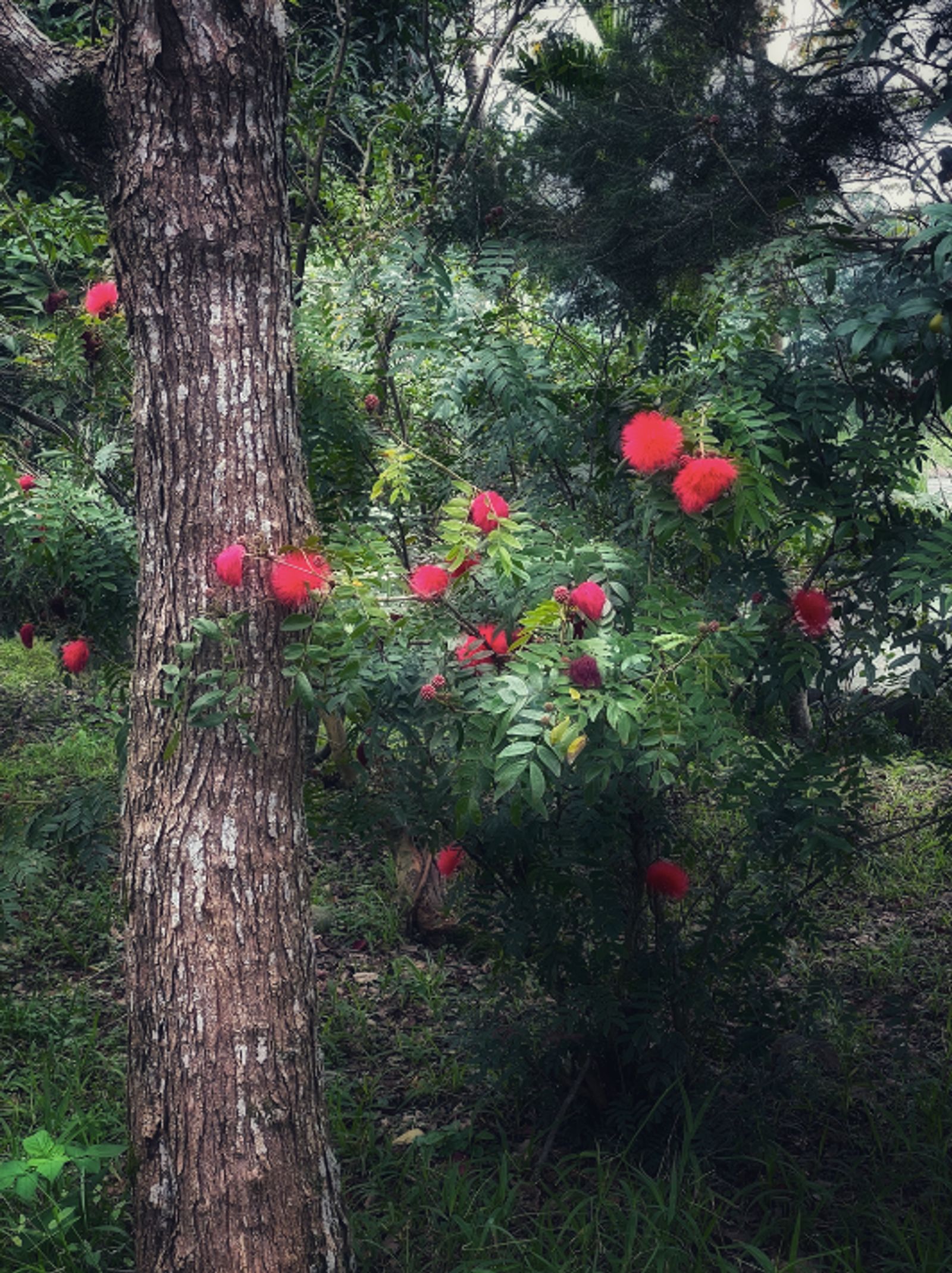 ILandscape 路邊打卡風景 - PhMuseum