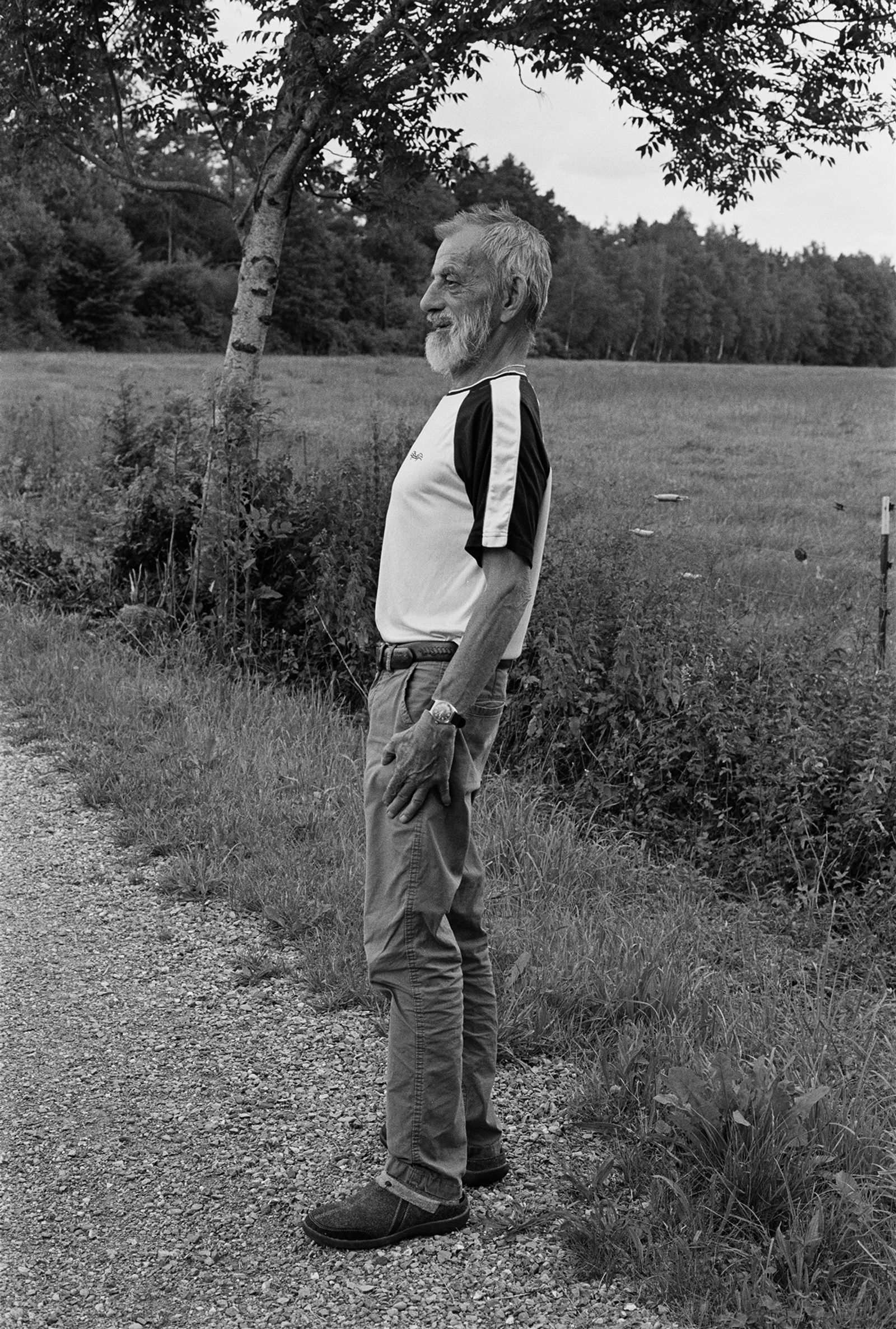 Weites Feld (Wide Field) - PhMuseum
