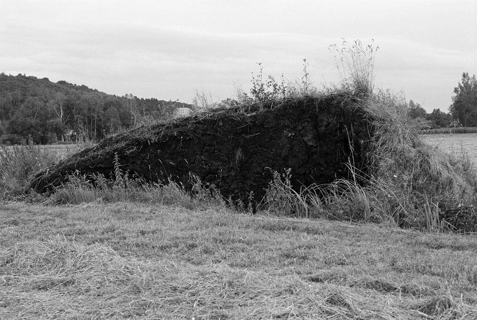 Weites Feld (Wide Field) - PhMuseum