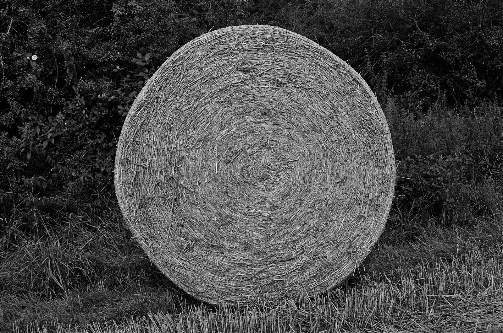 Weites Feld (Wide Field) - PhMuseum