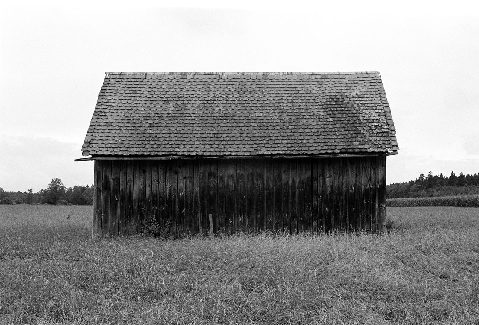 Weites Feld (Wide Field) - PhMuseum