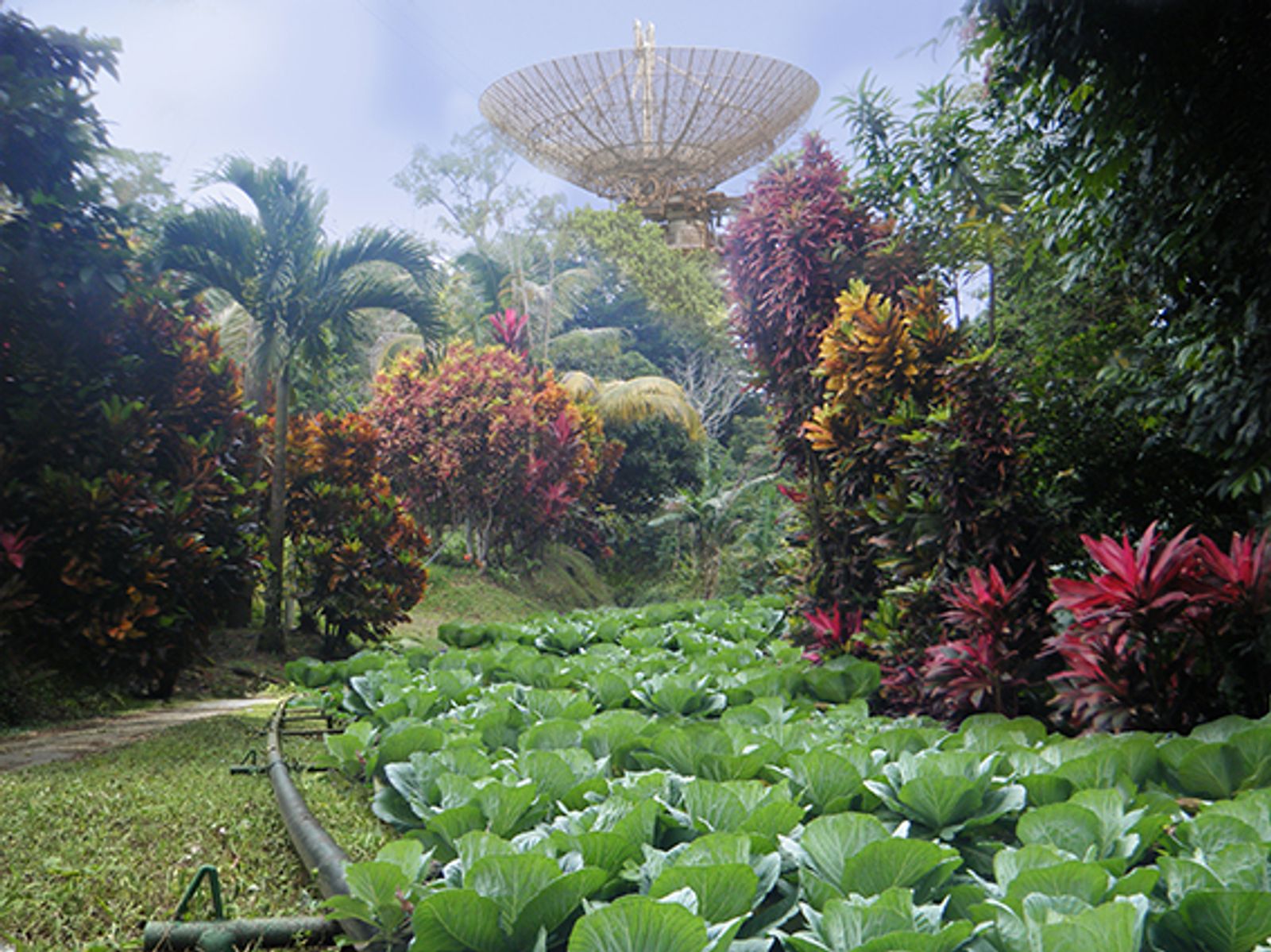Floating Islands - PhMuseum