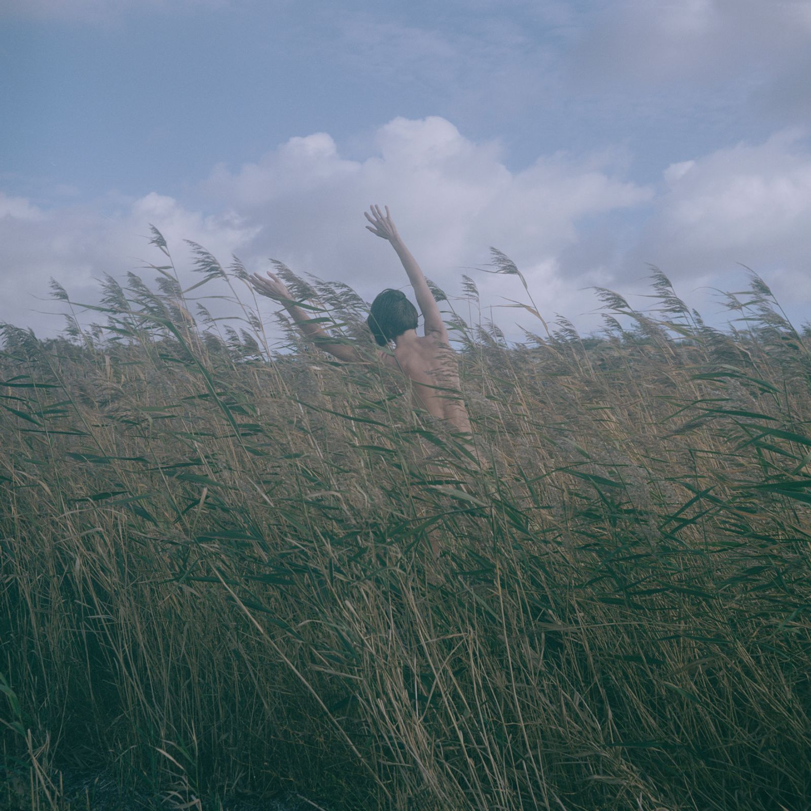 Human Nature - PhMuseum