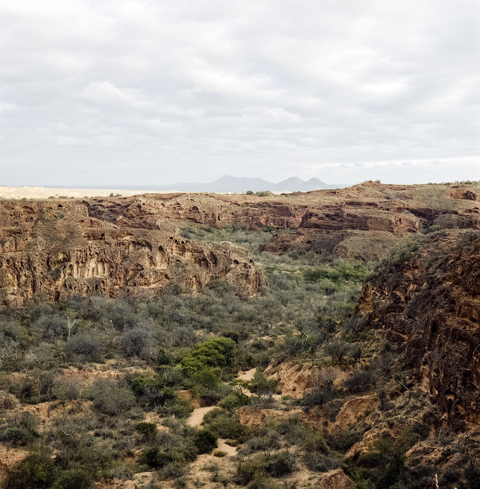 The living nature of the stone-dead - PhMuseum