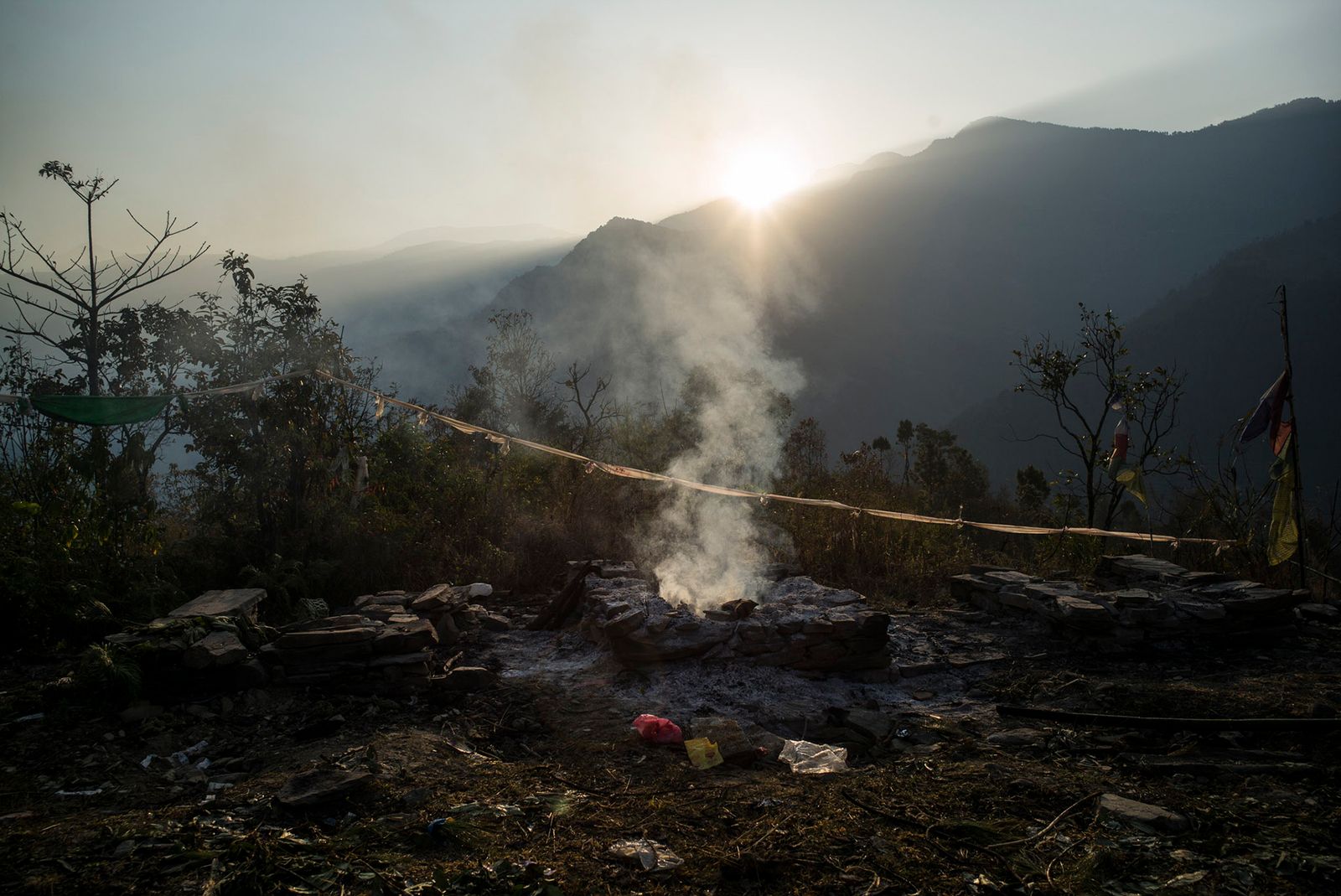 dead and alive - PhMuseum