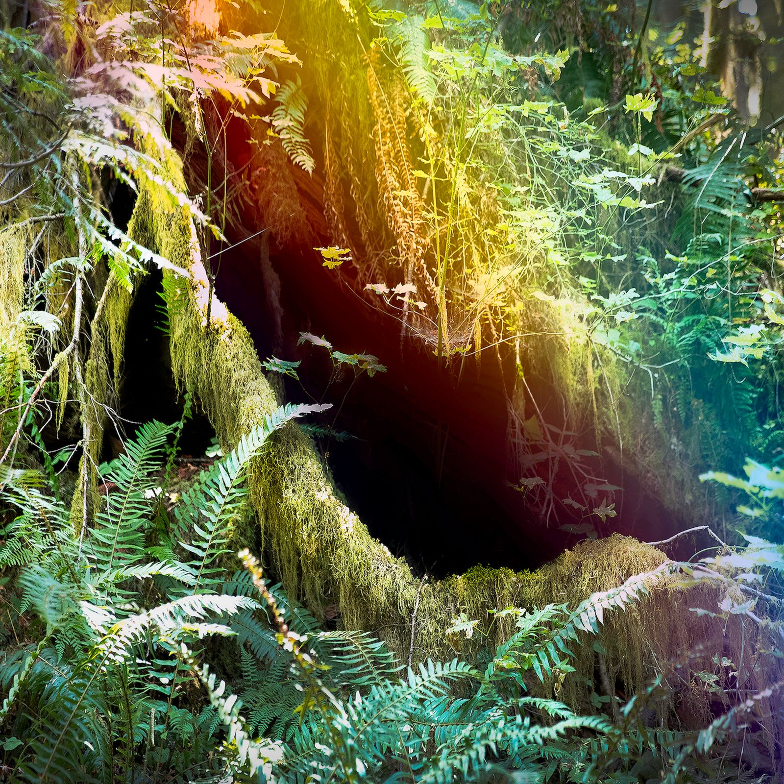 Geographical Lore - PhMuseum