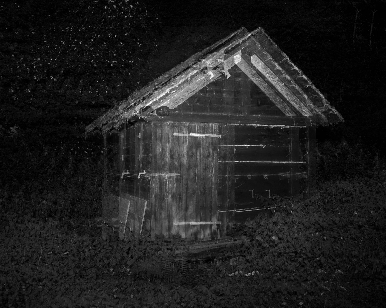 Le premier homme (the first man) - PhMuseum