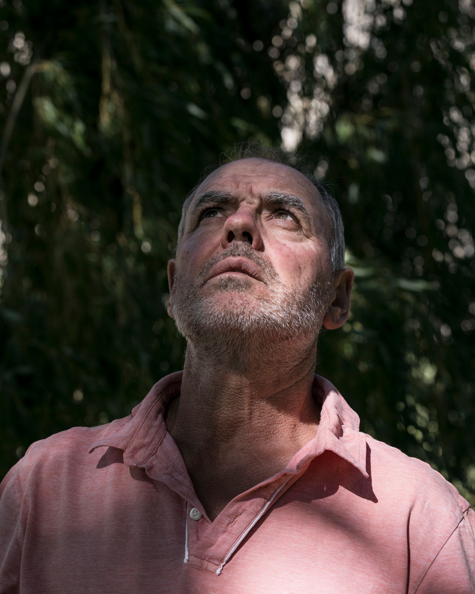 Le premier homme (the first man) - PhMuseum