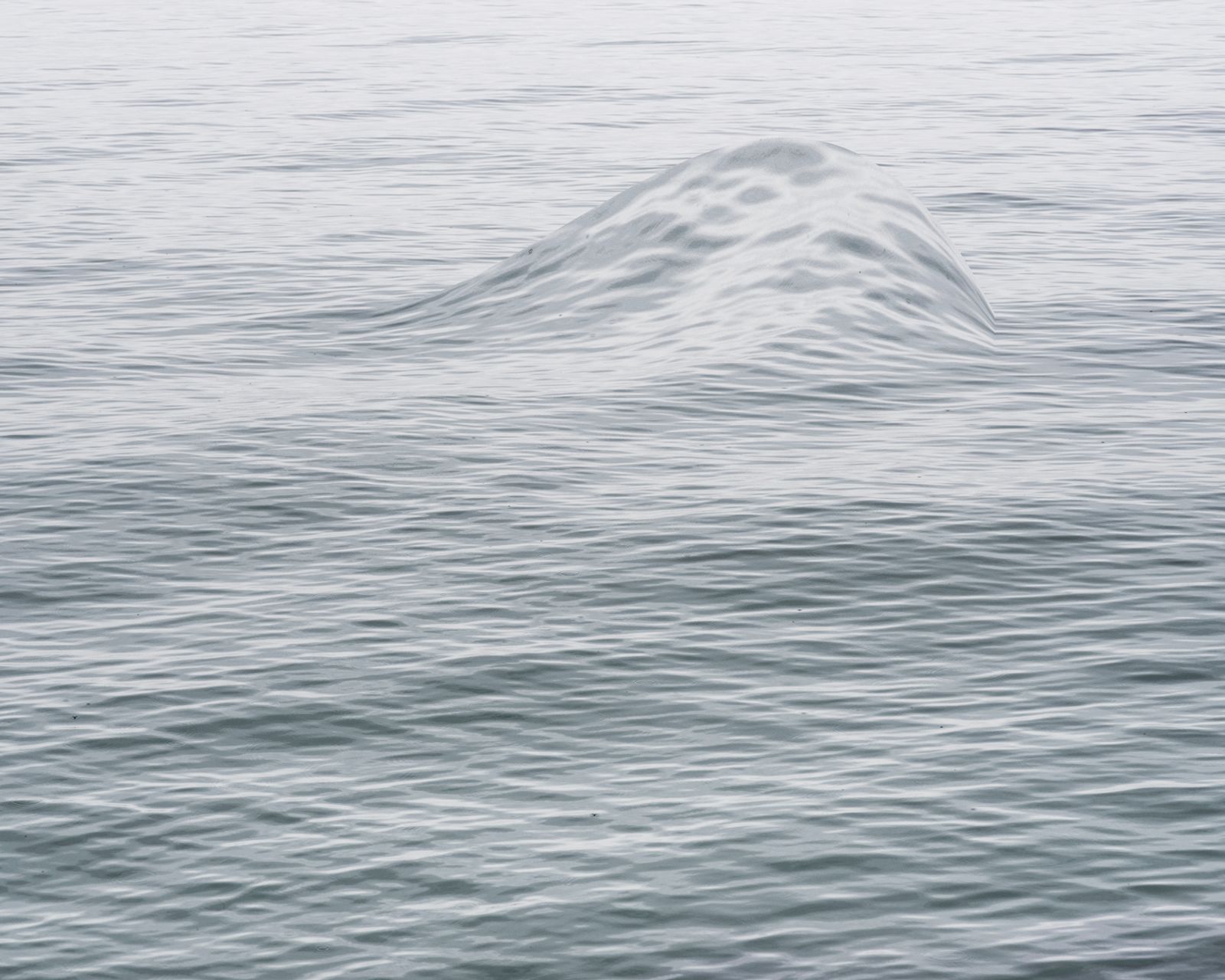 Le premier homme (the first man) - PhMuseum