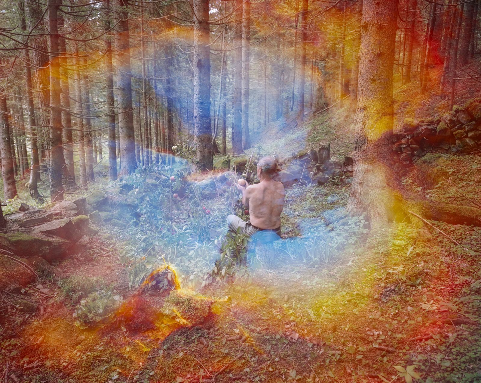 Le premier homme (the first man) - PhMuseum