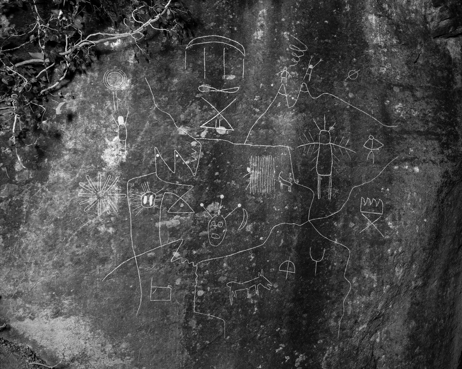 Le premier homme (the first man) - PhMuseum