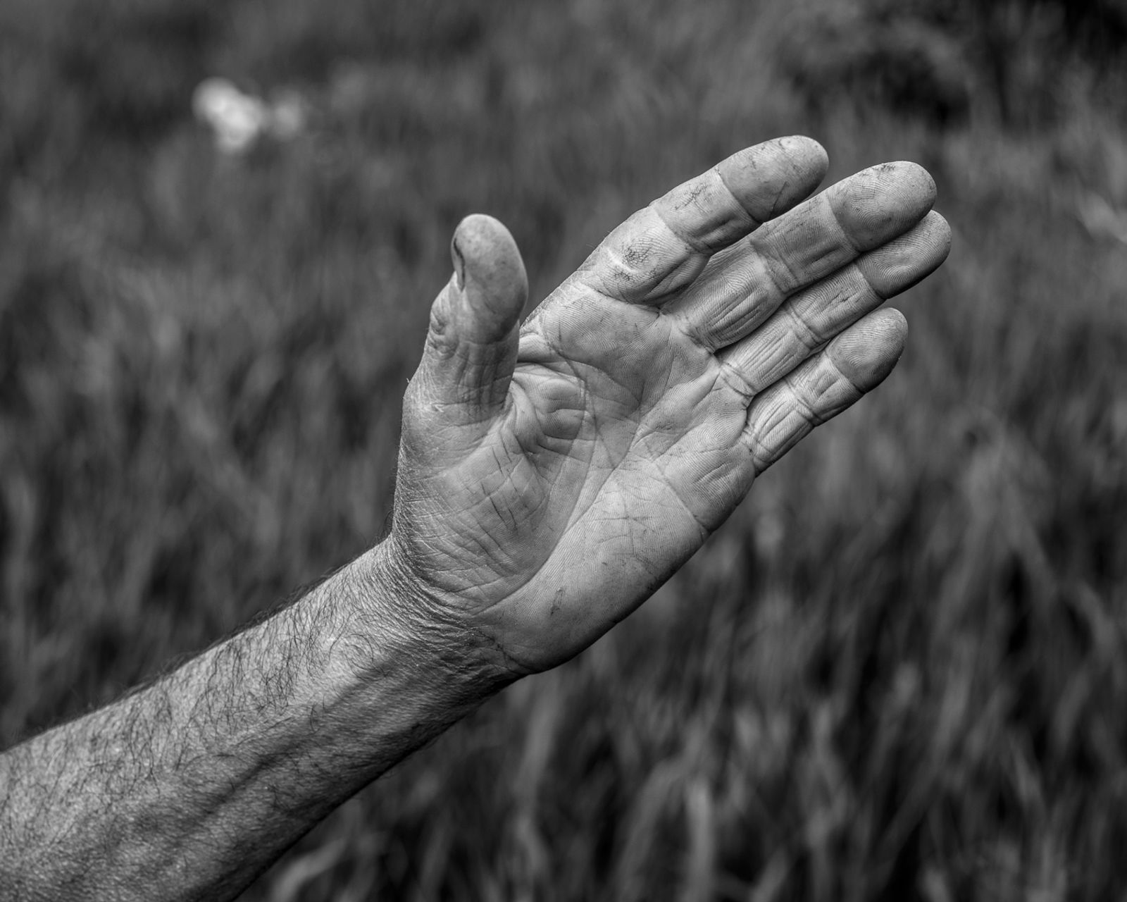 Le premier homme (the first man) - PhMuseum