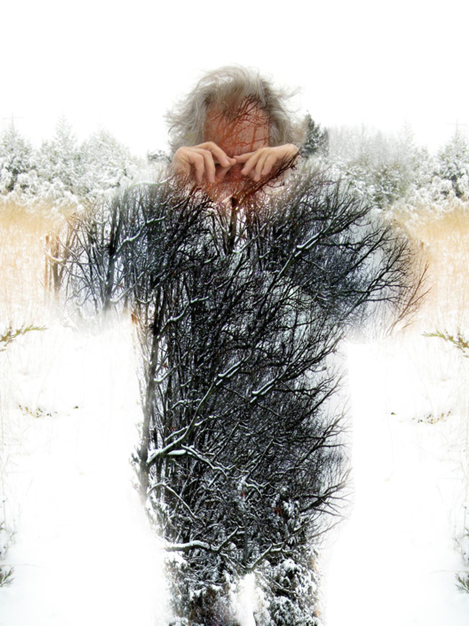 Losing Reality; Reality of Loss - PhMuseum