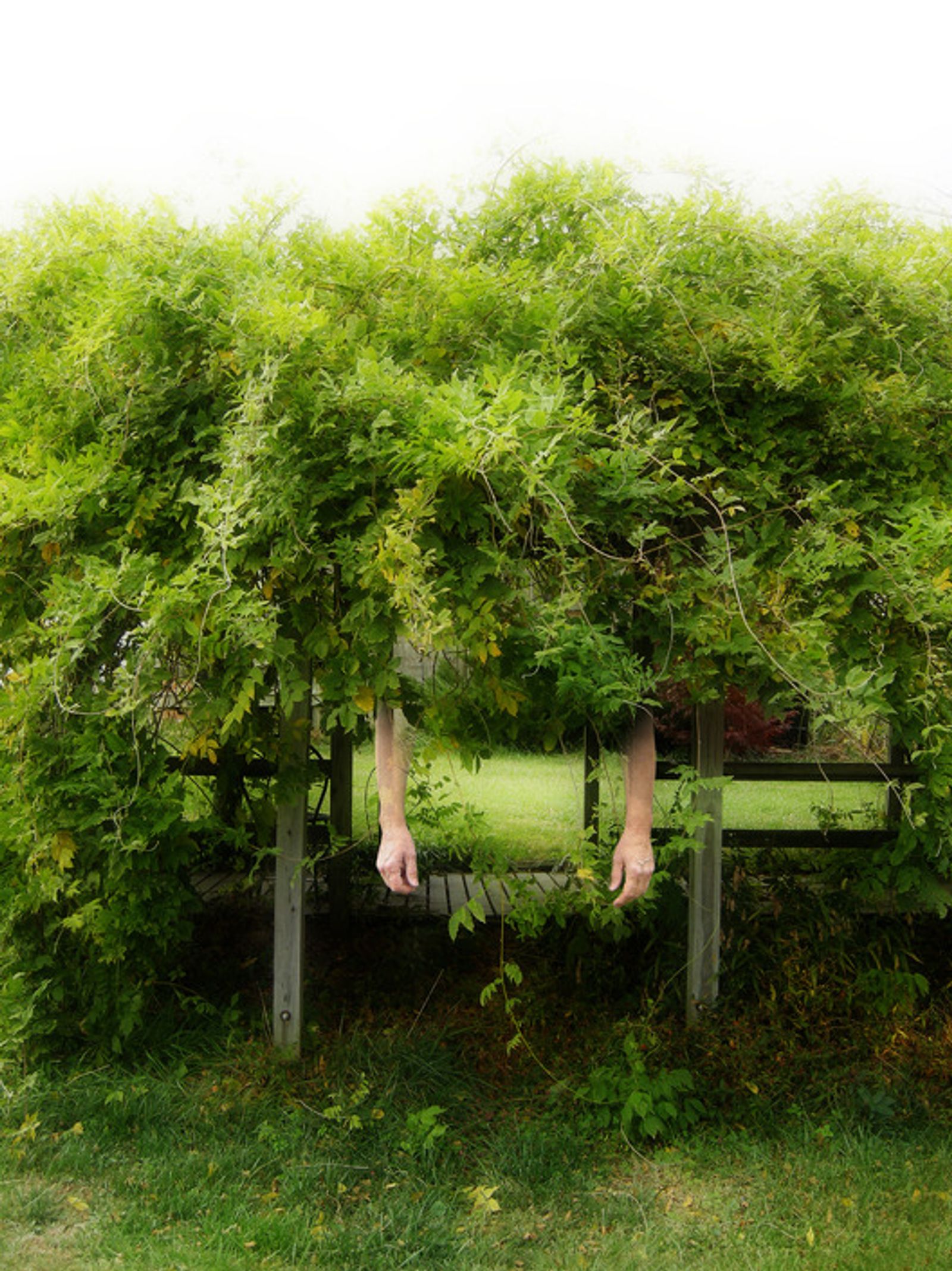 Losing Reality; Reality of Loss - PhMuseum