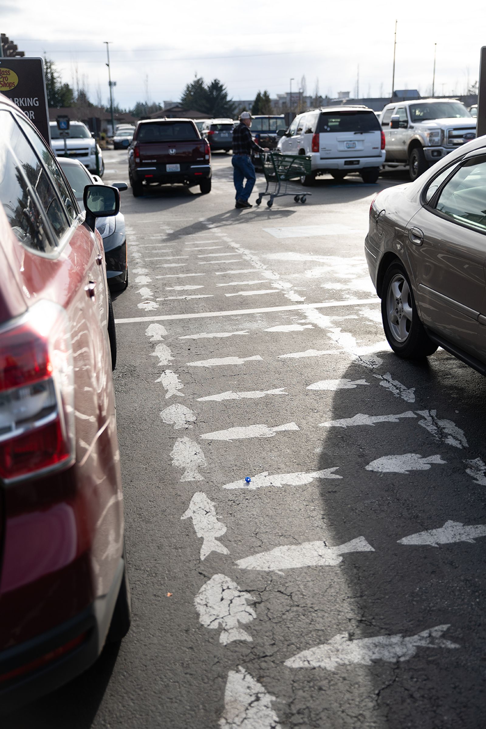 Deceitful by Nature - PhMuseum