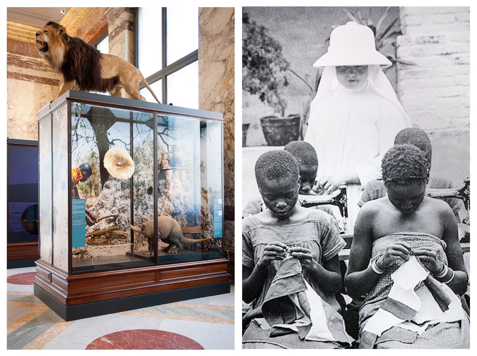 USUS FRUCTUS ABUSUS - PhMuseum