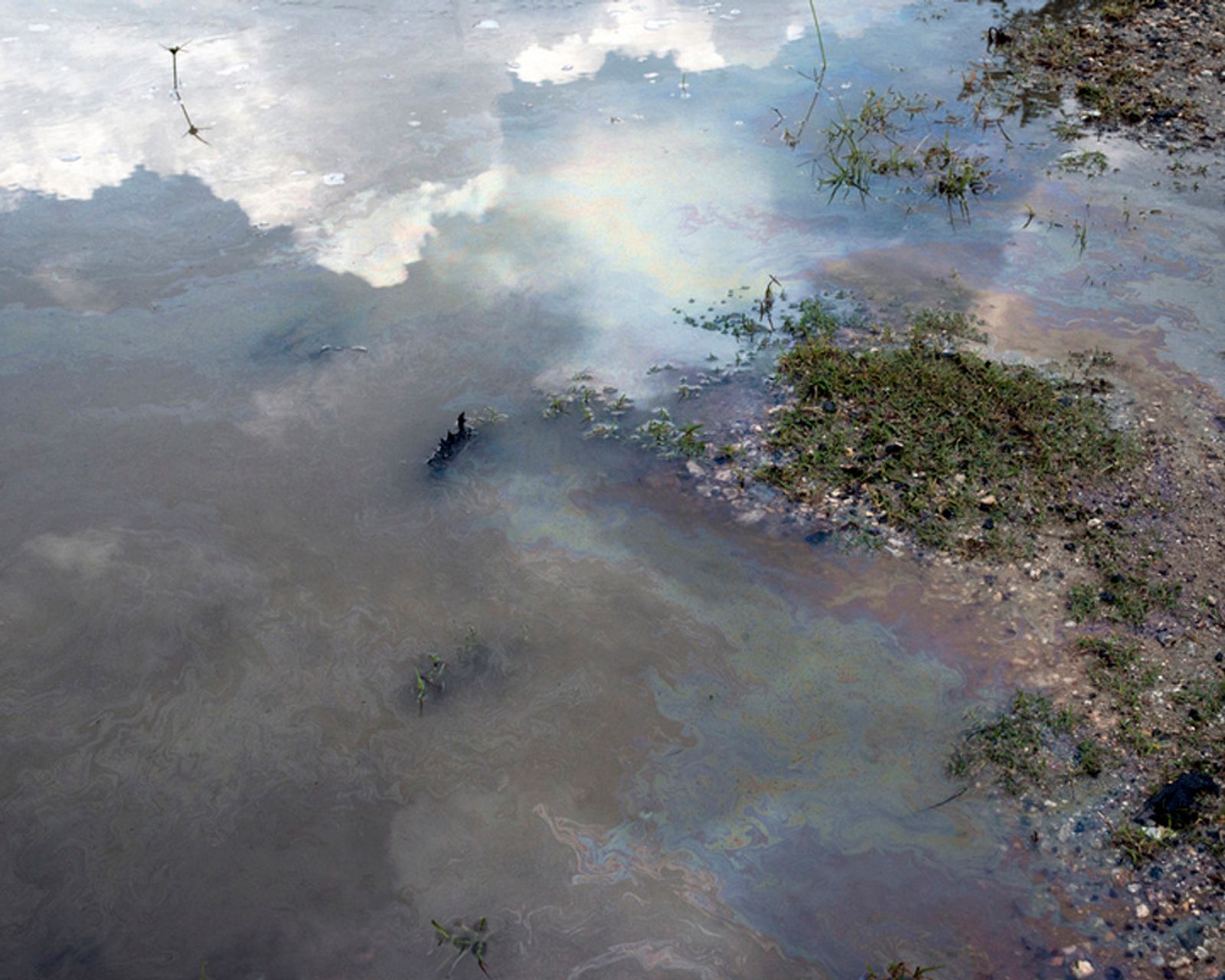 The Battle of Sol Legare - PhMuseum