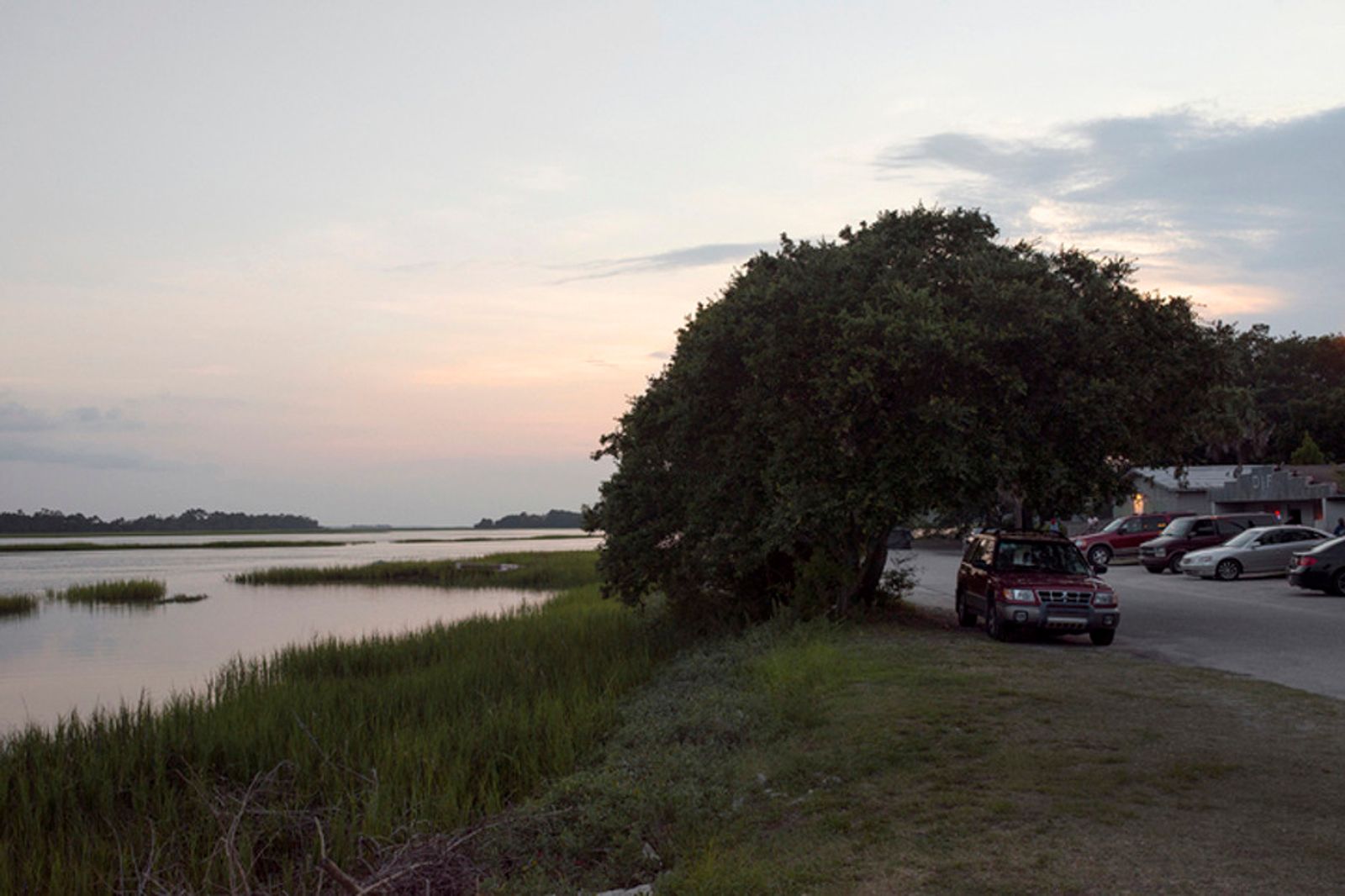 The Battle of Sol Legare - PhMuseum
