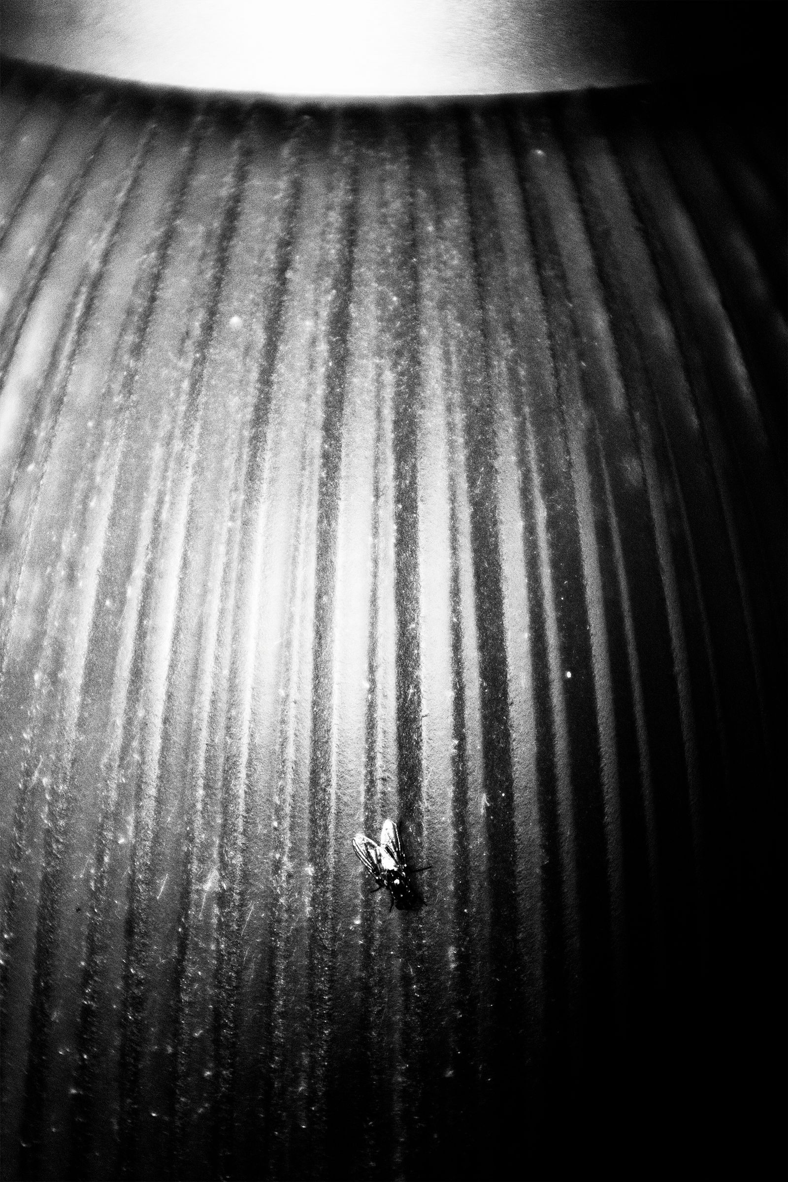 Blank Bodies - PhMuseum