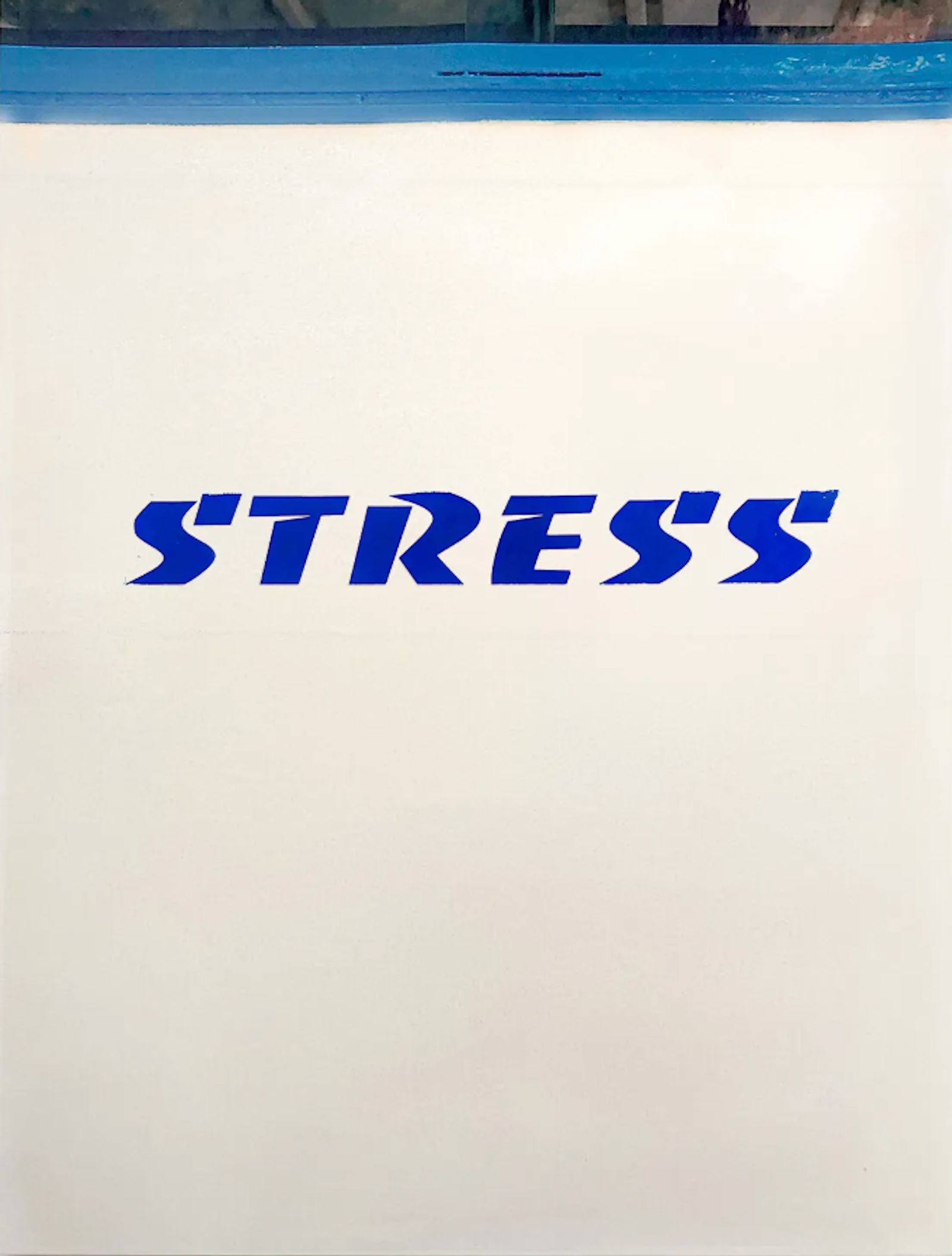 Luca Massaro on the Display of Captionthis at PhMuseum Days - PhMuseum