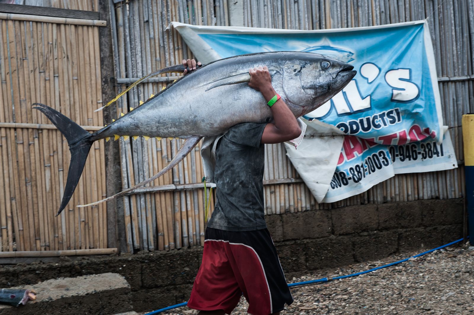 Palawan Seas - PhMuseum