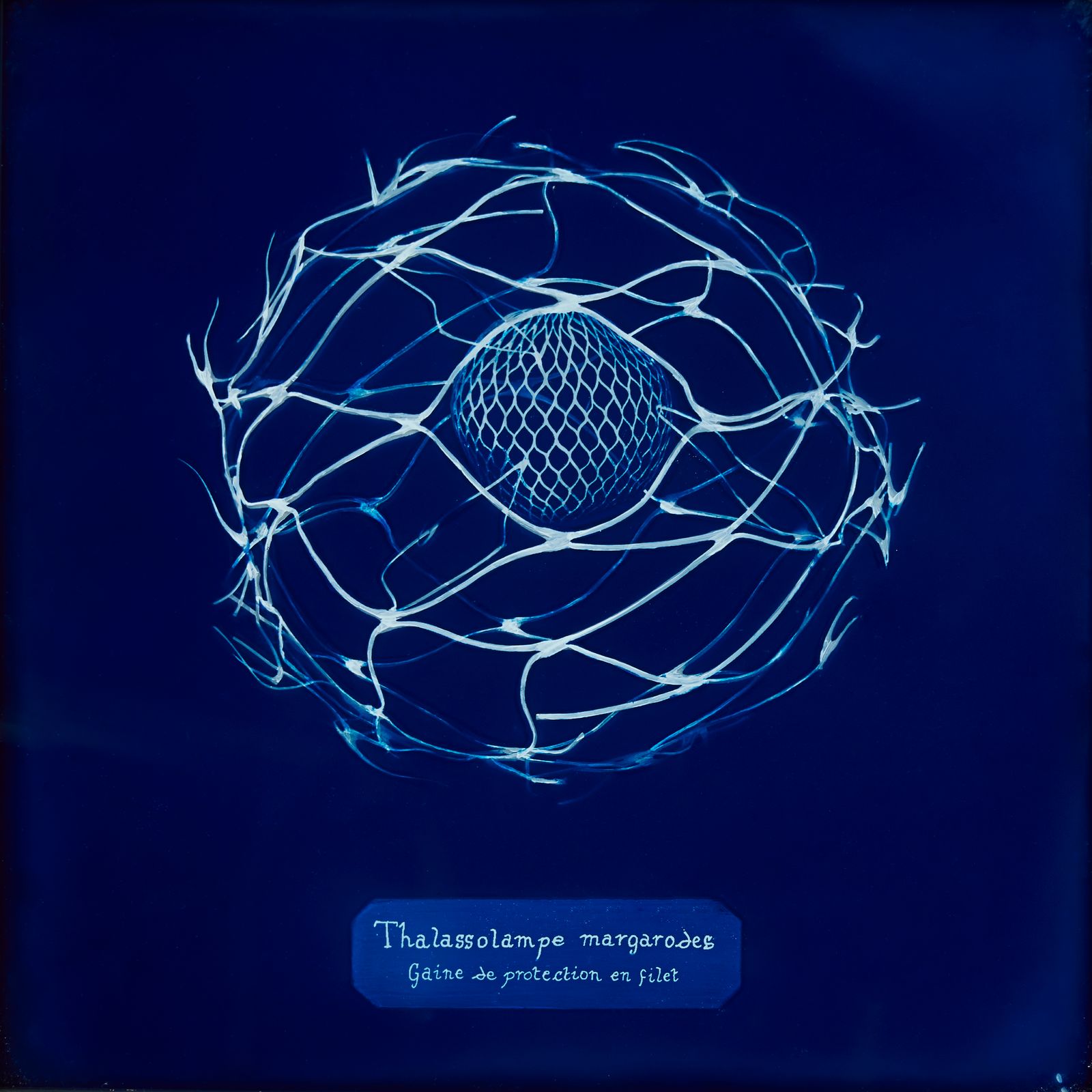 "The particules, the human tale of a dying water" - PhMuseum