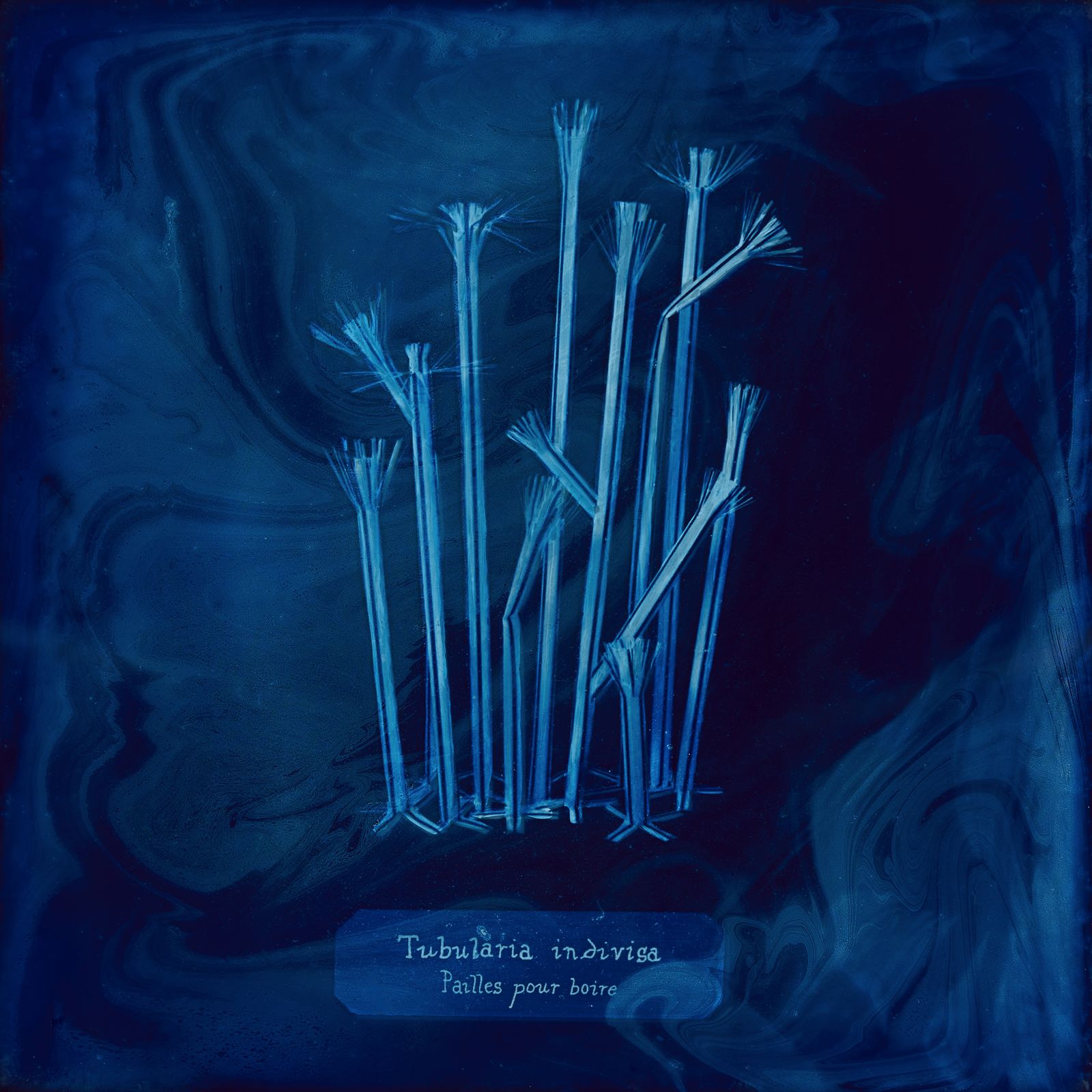 "The particules, the human tale of a dying water" - PhMuseum
