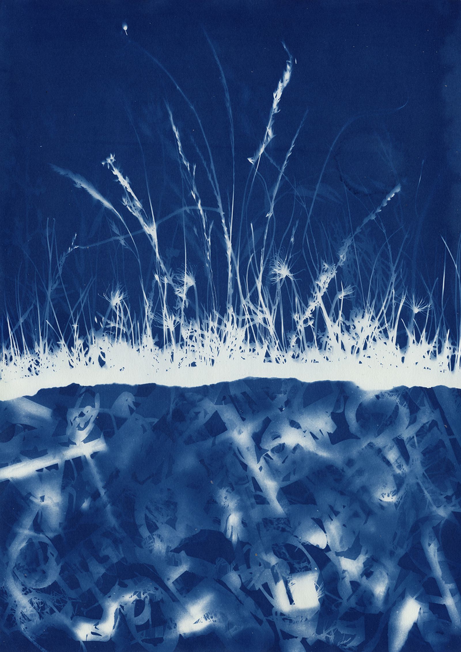Cyanotypes of a trashworld - PhMuseum