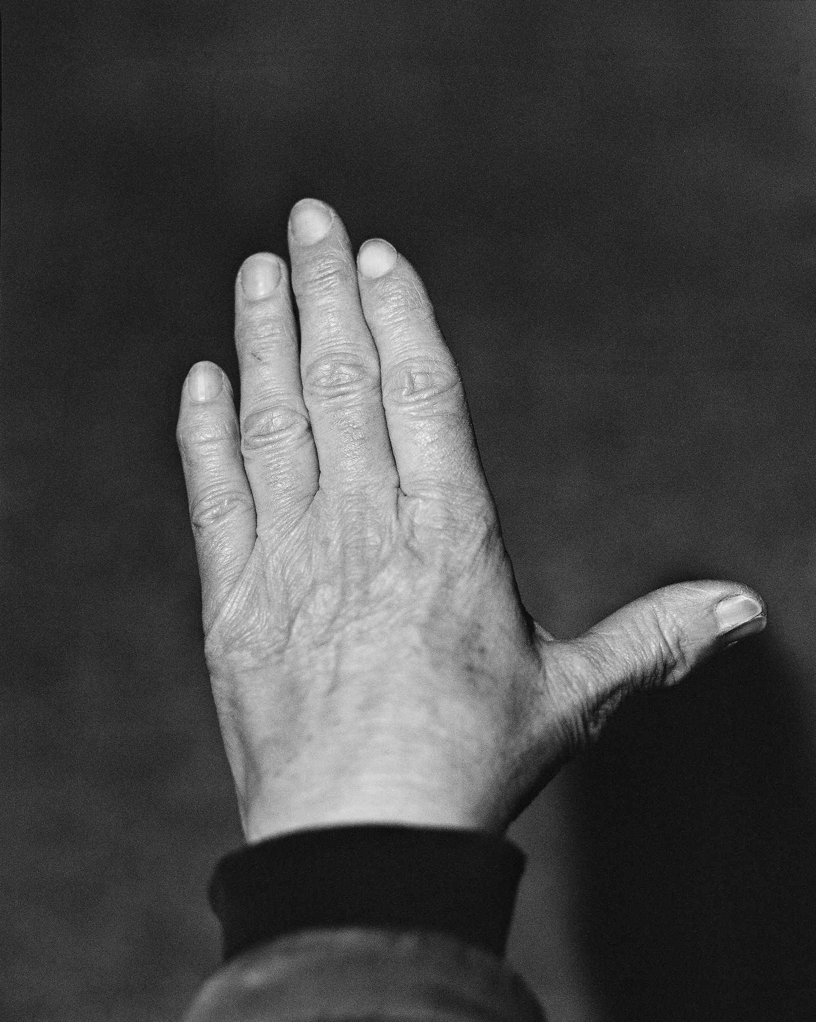 Tea Soaked Madeleines - PhMuseum