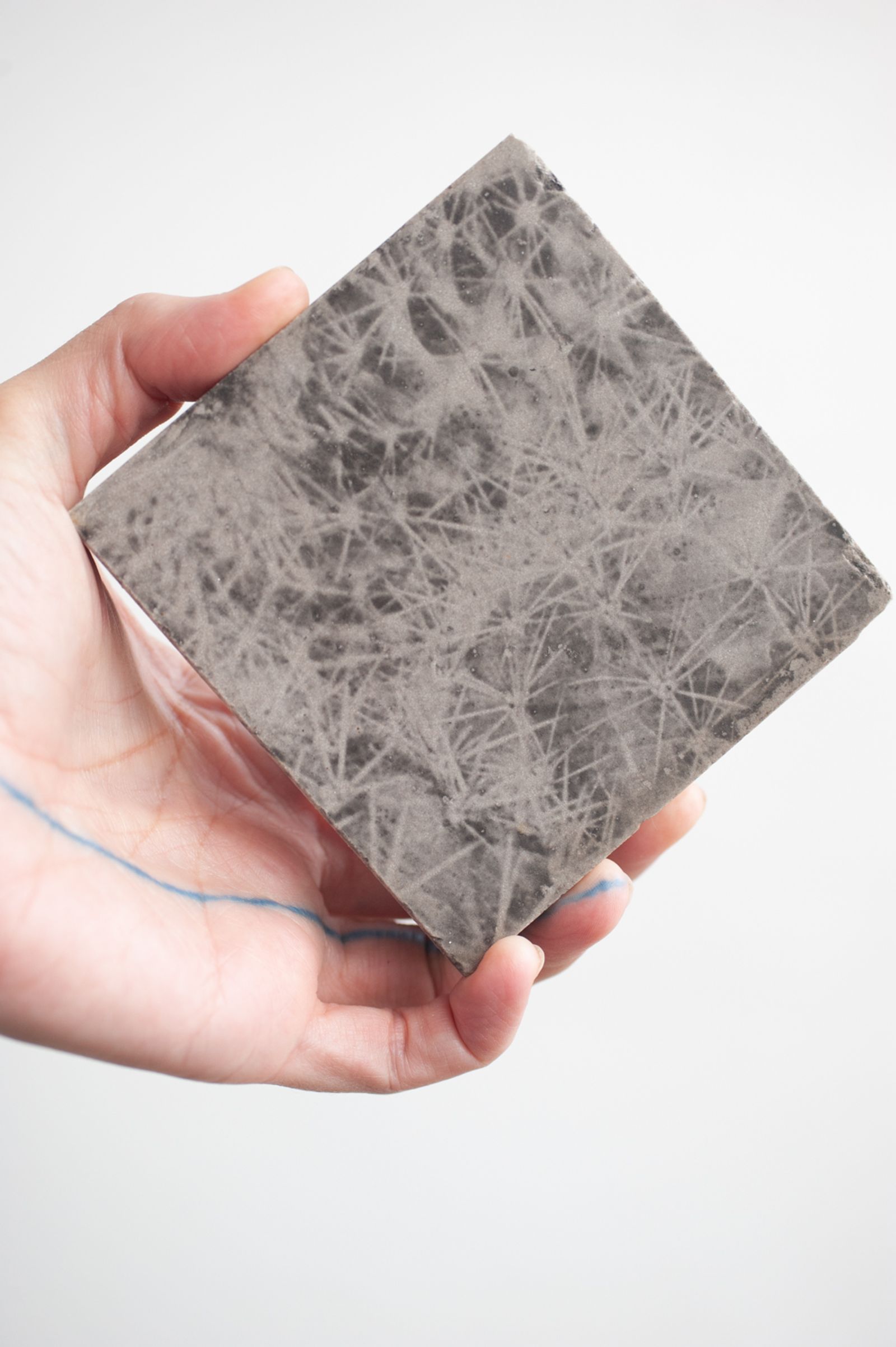 Trail of Touch - PhMuseum