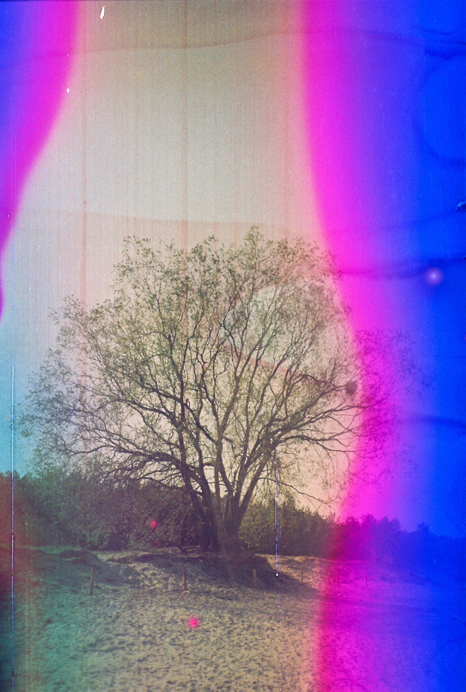 How nature affects the picture - PhMuseum