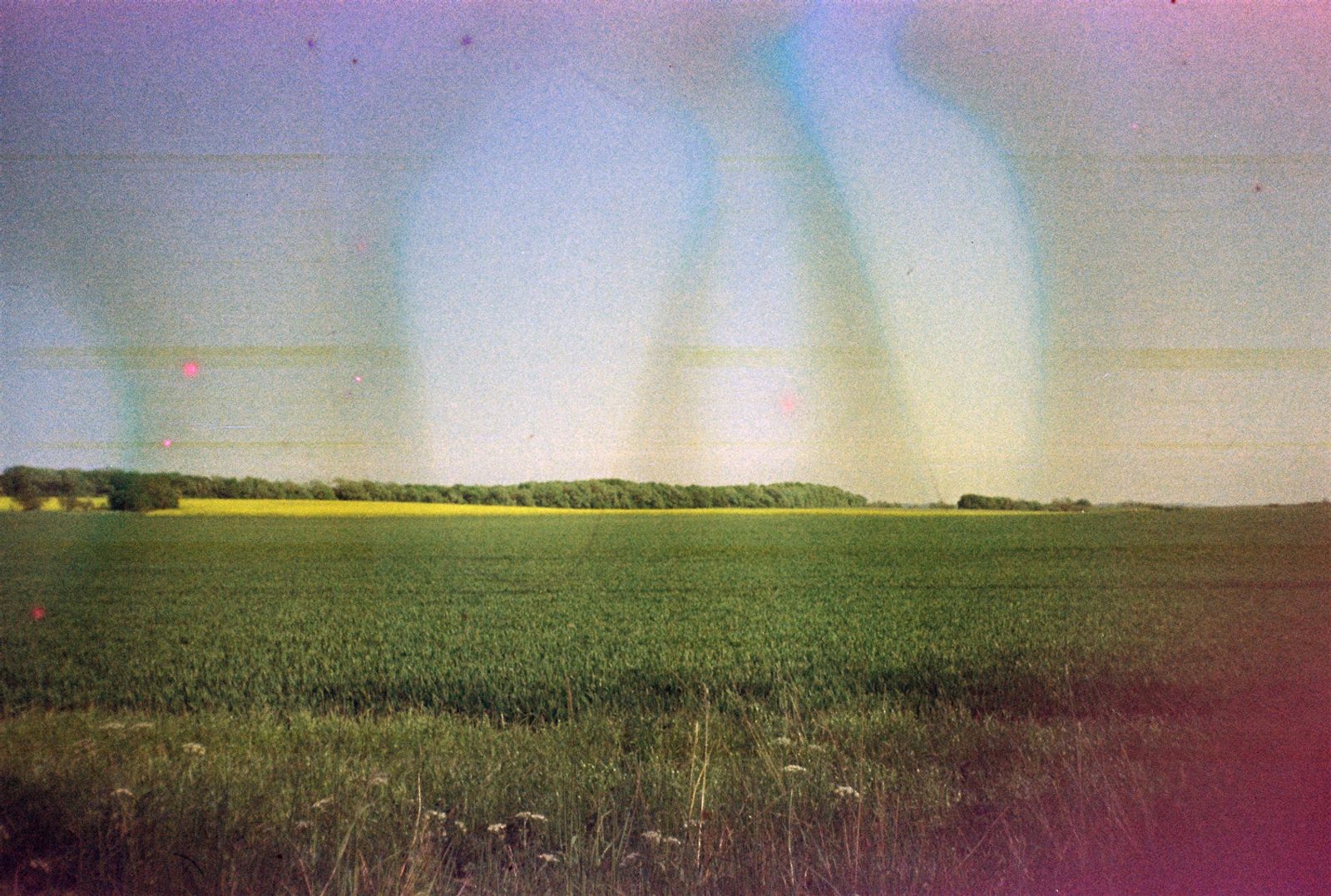 How nature affects the picture - PhMuseum