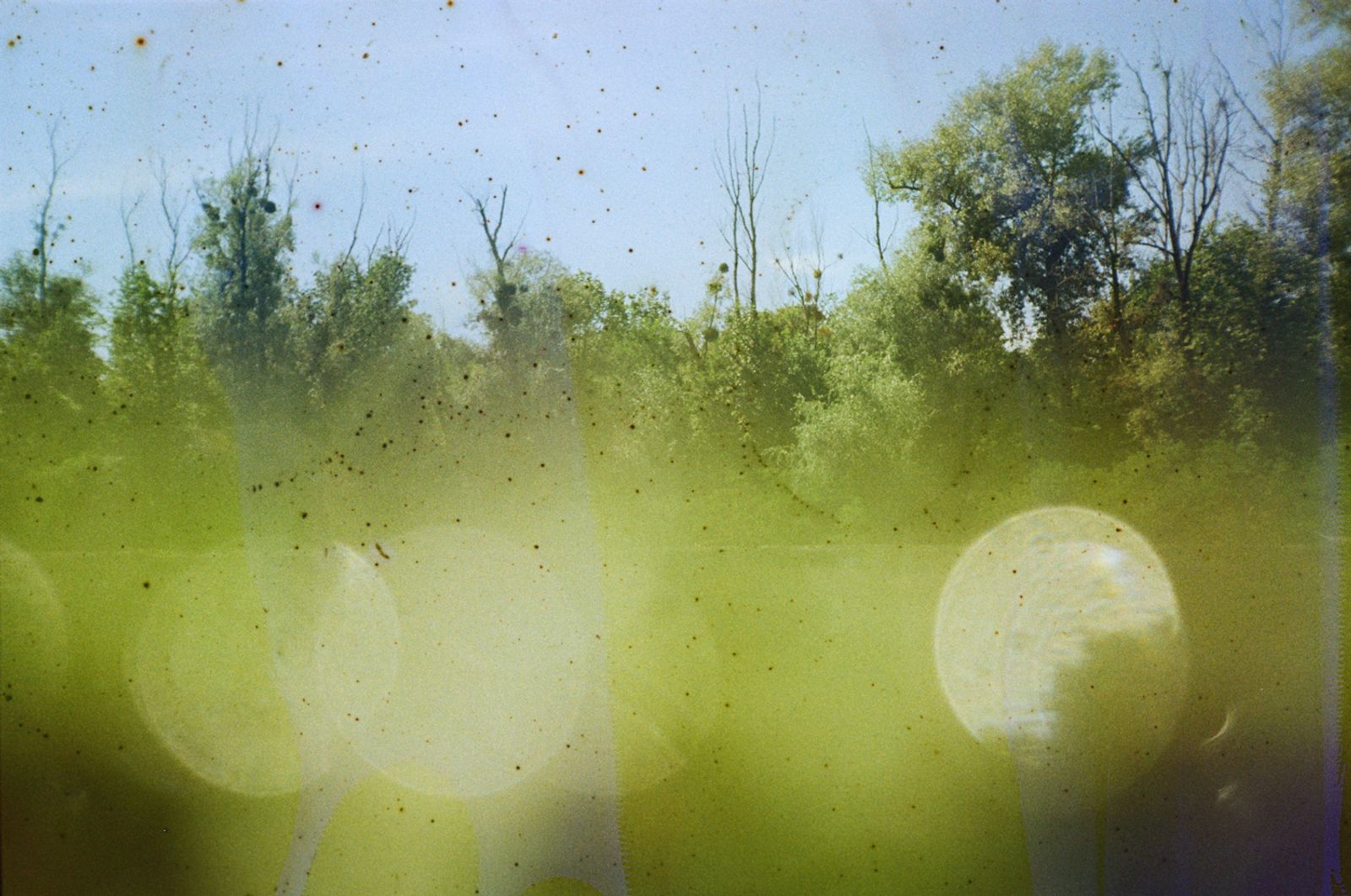 How nature affects the picture - PhMuseum