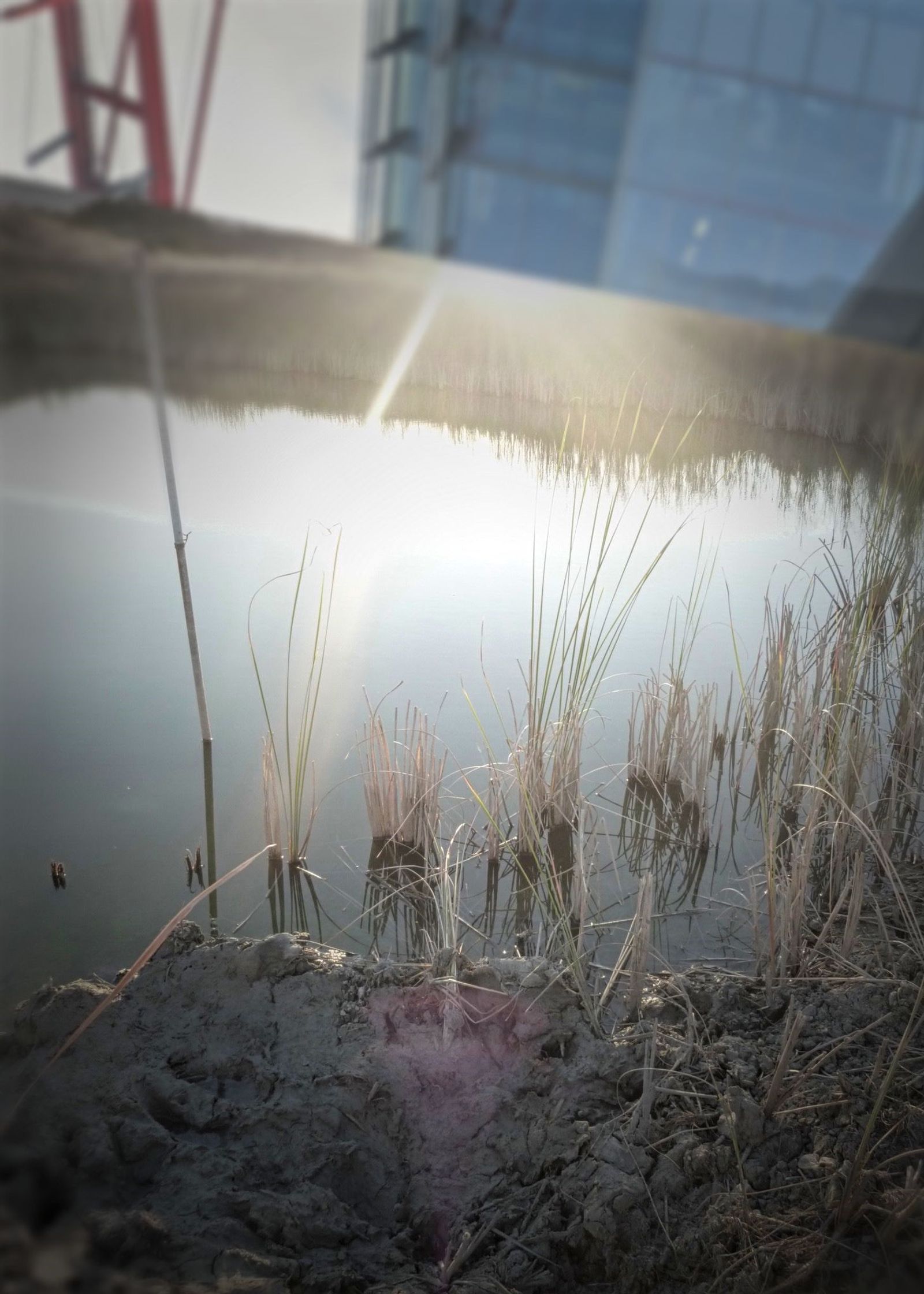 Italy's vertical playscapes - PhMuseum