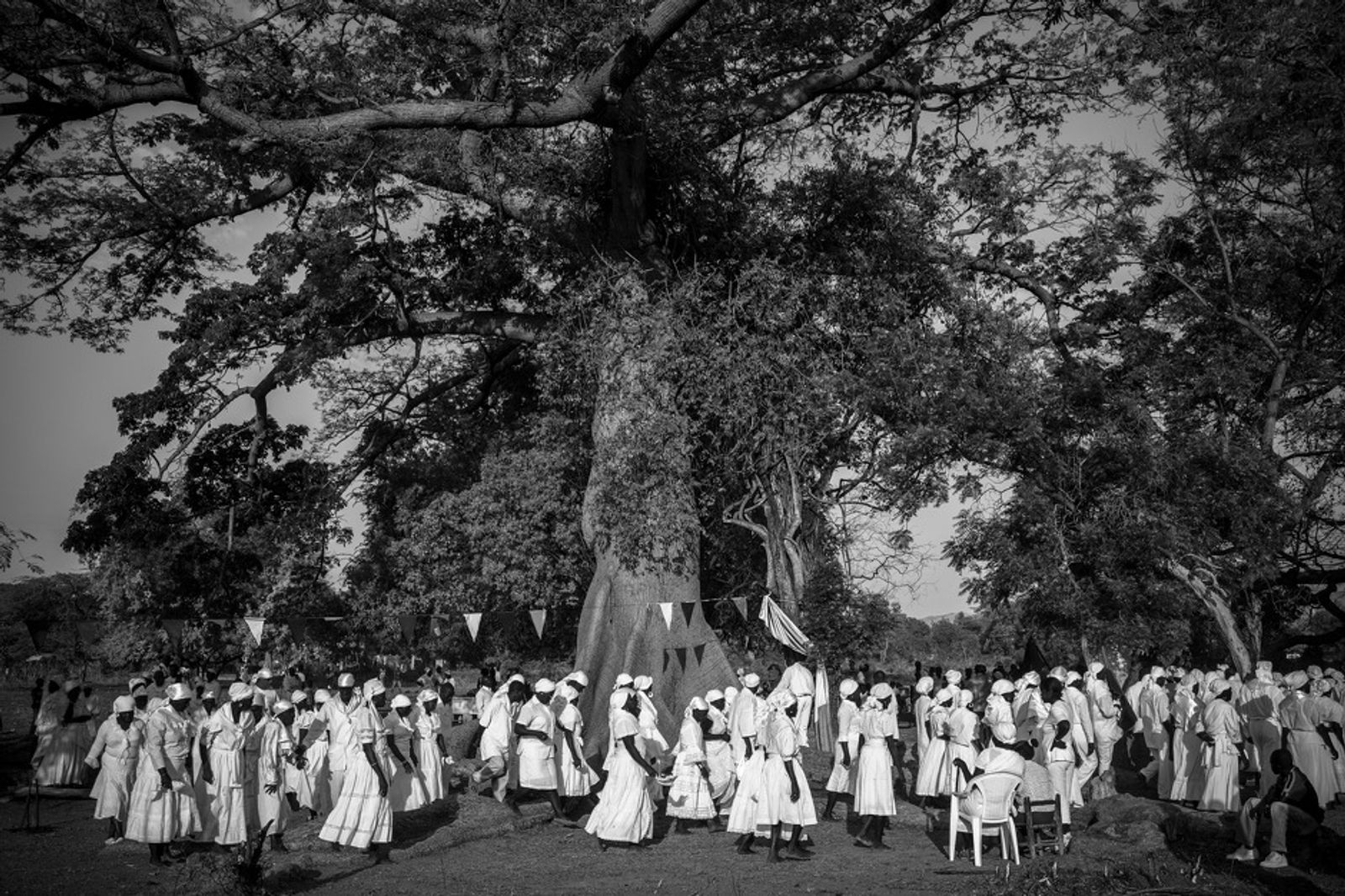 Year Zero - PhMuseum