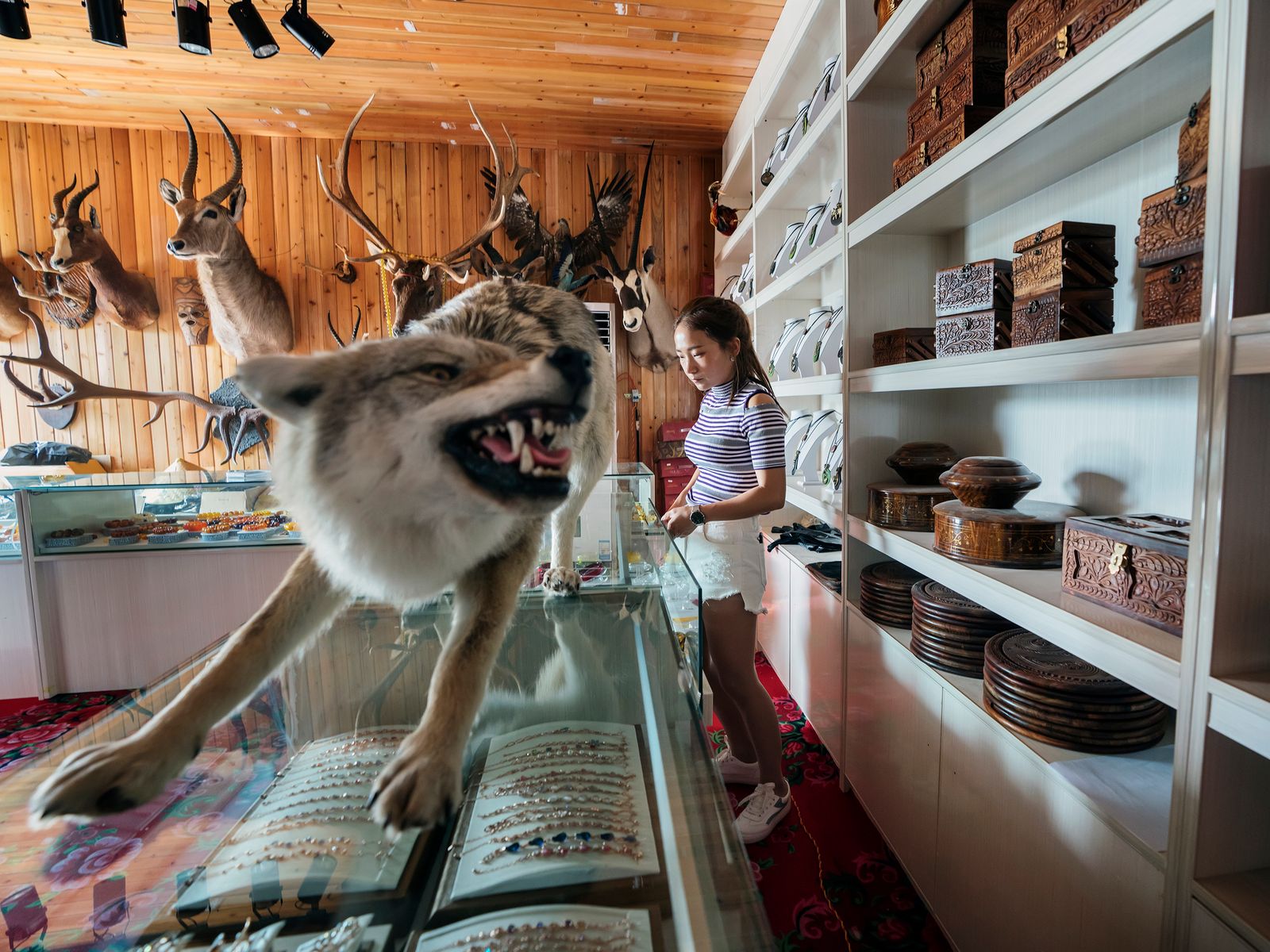 The Trillion-Dollar Nowhere - PhMuseum