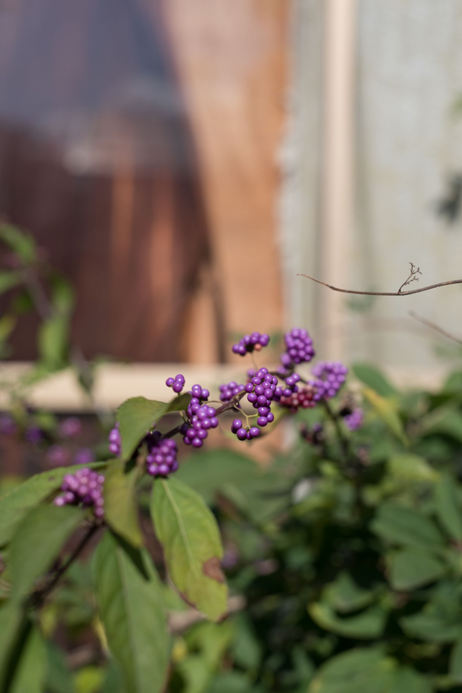 Hiding one's emotions and feelings (Honne*) keep the harmony safe ? - PhMuseum