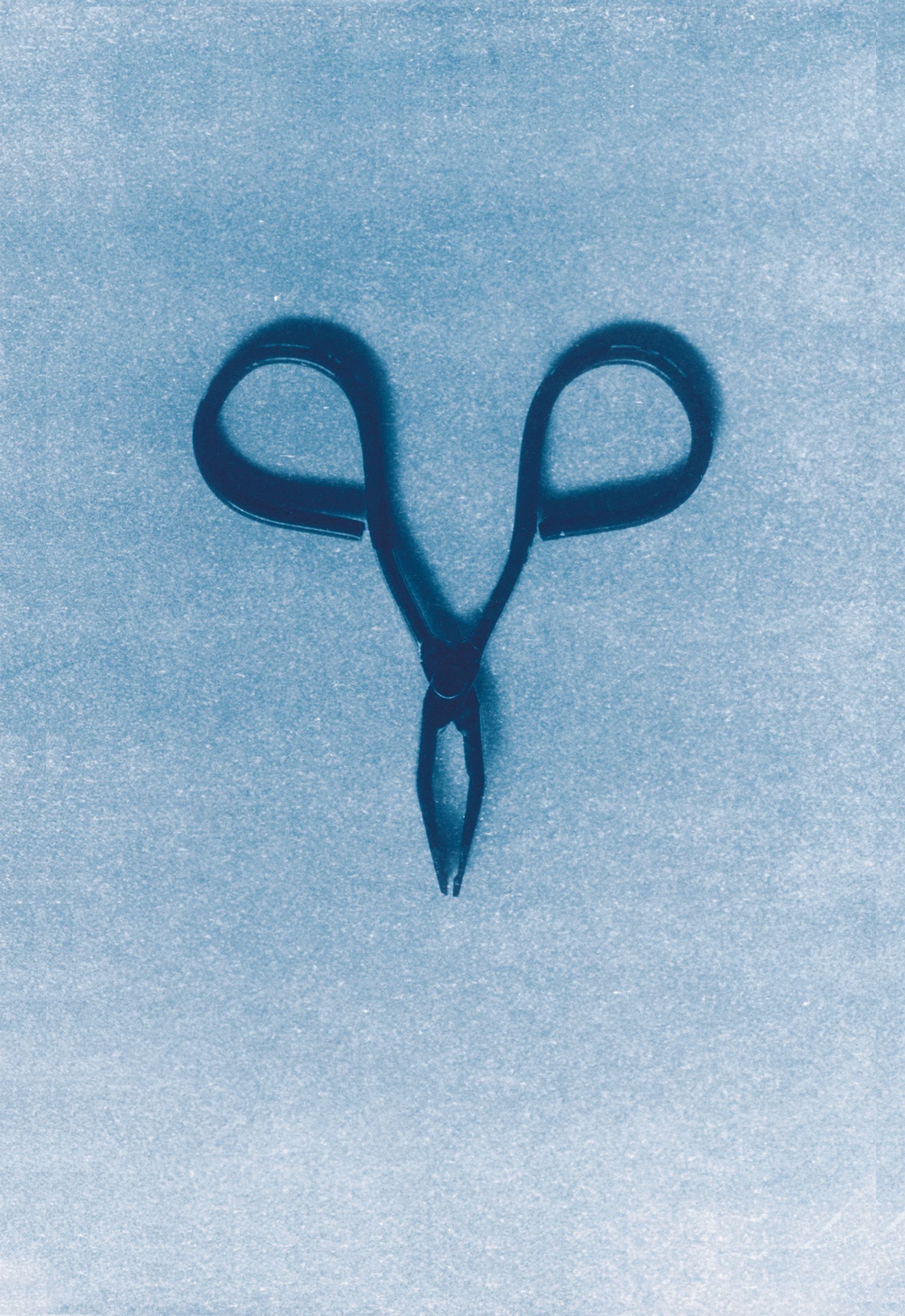 Casa Azul (Blue House) - PhMuseum