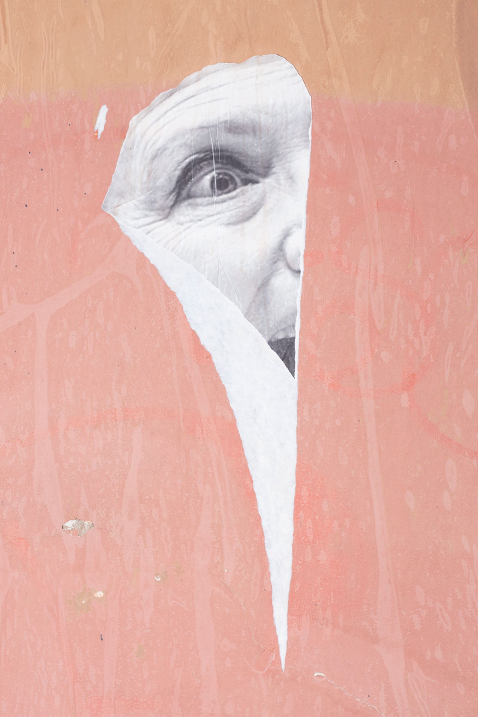 CAPUT MUNDI - PhMuseum